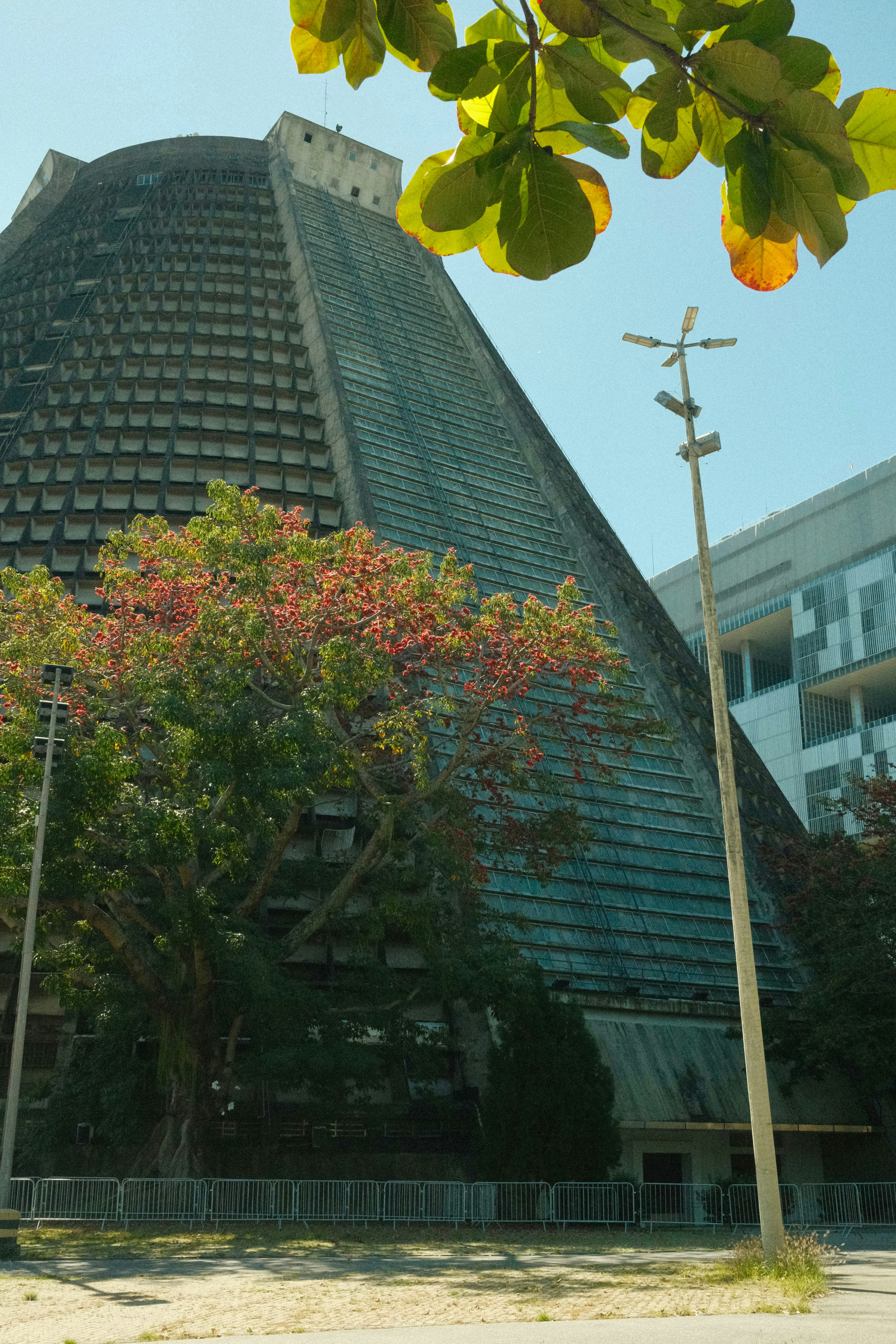 Wedge of Glass and Shadow: A Brutalist Tower Reaches Above the Trees