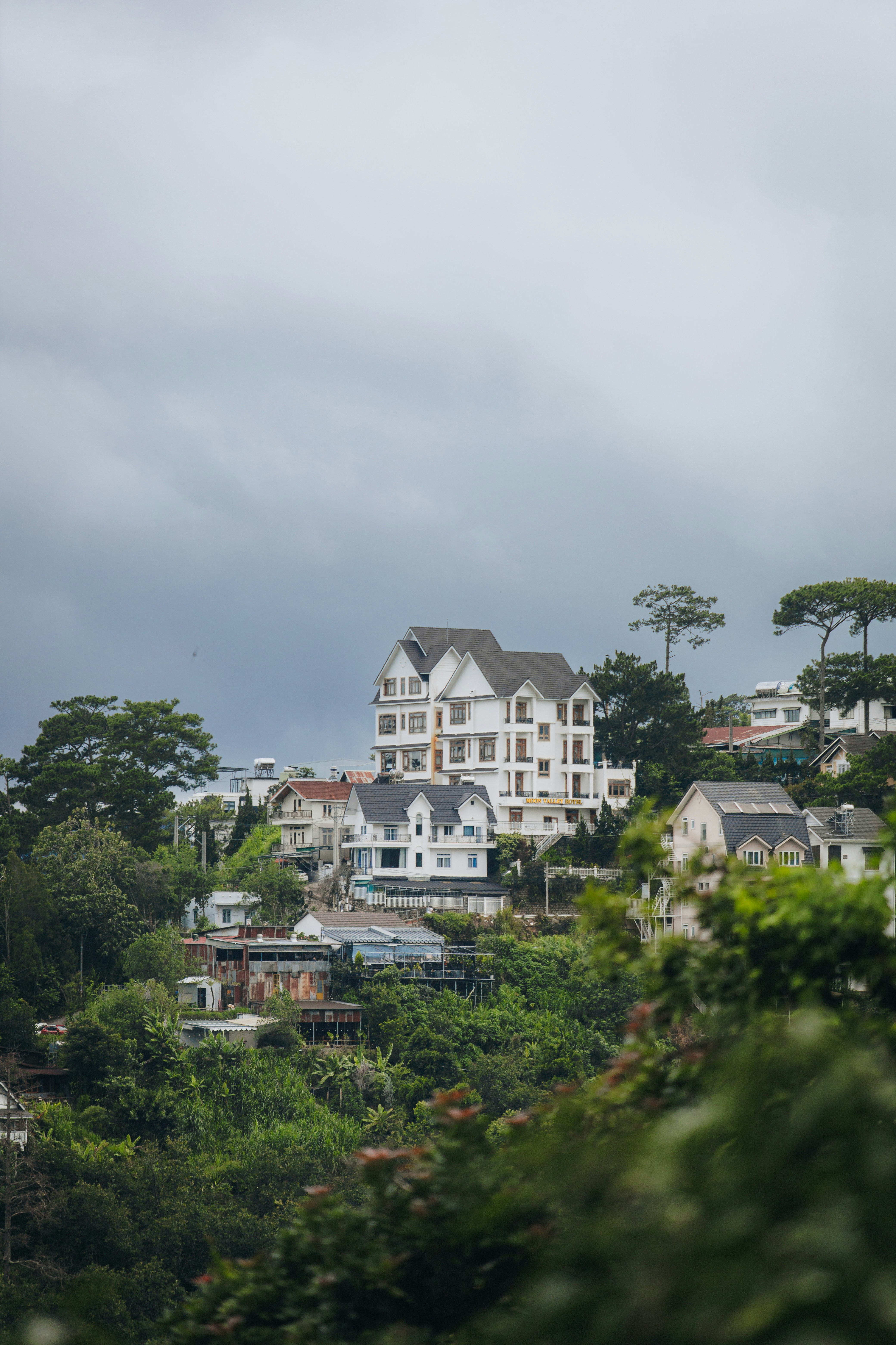 Photo by Chu CHU with Canon EOS RP