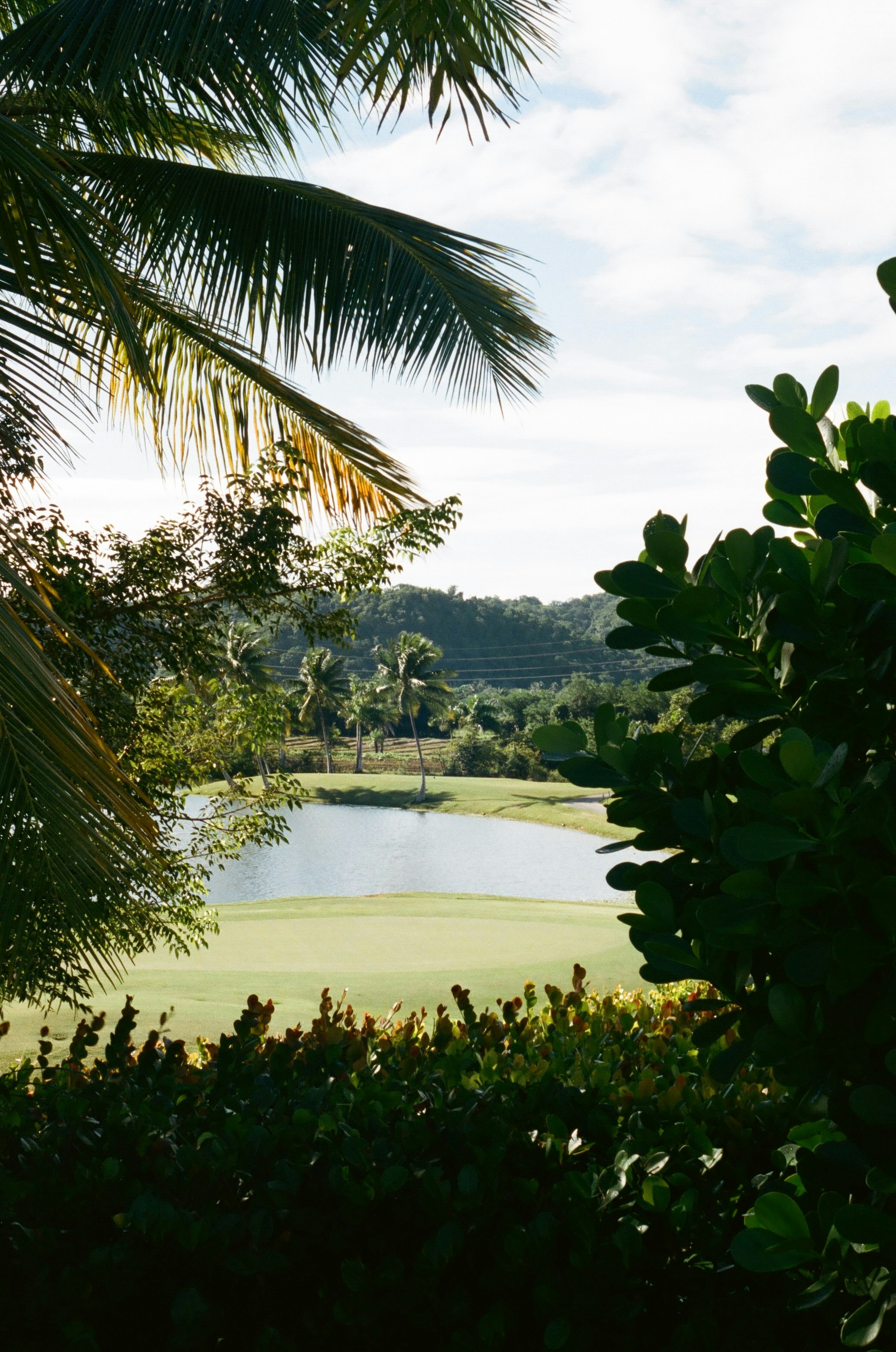 A view of a golf course through the trees photo – Free Green Image on ...