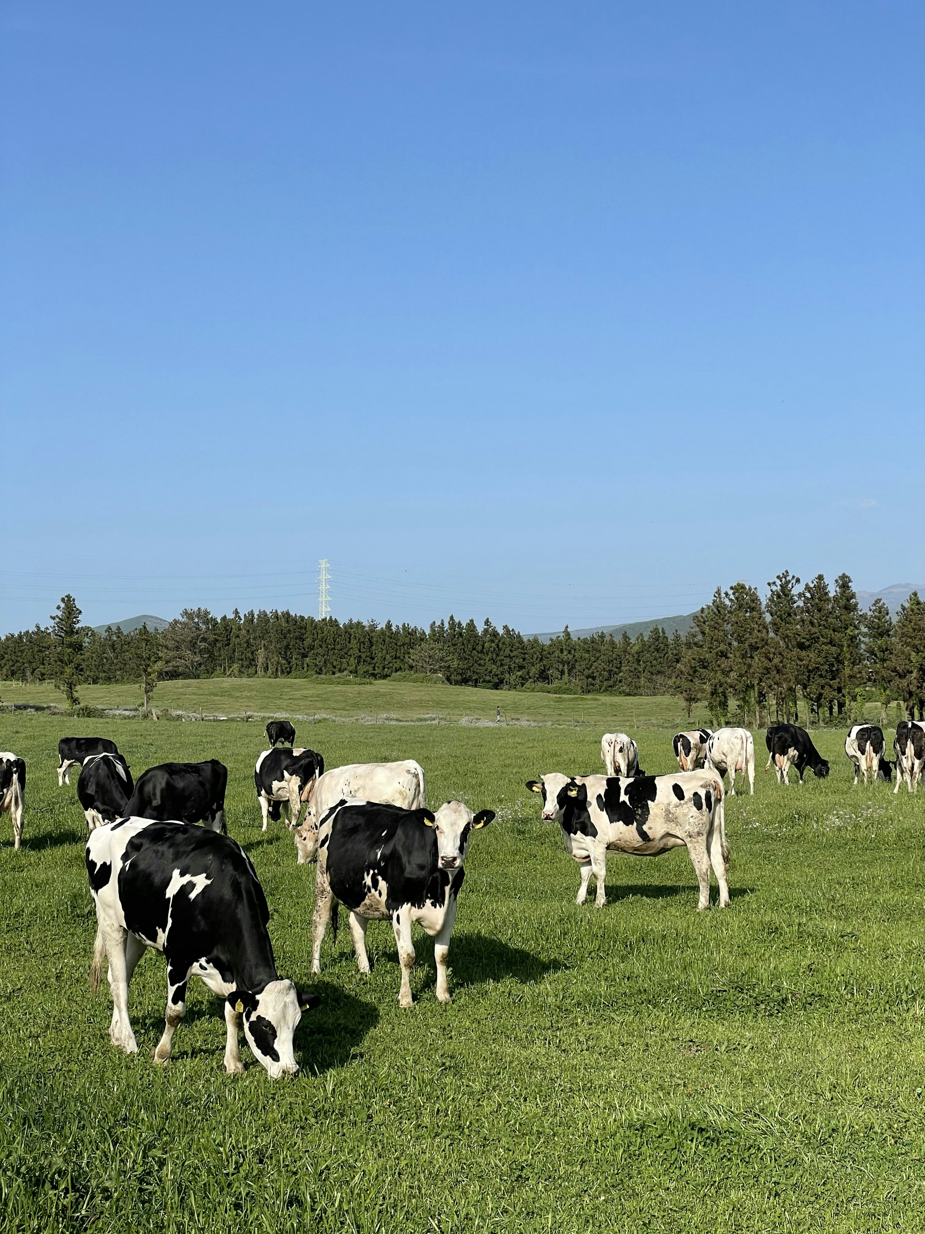 Photo by Ethan Yoo with Apple iPhone 12 Pro