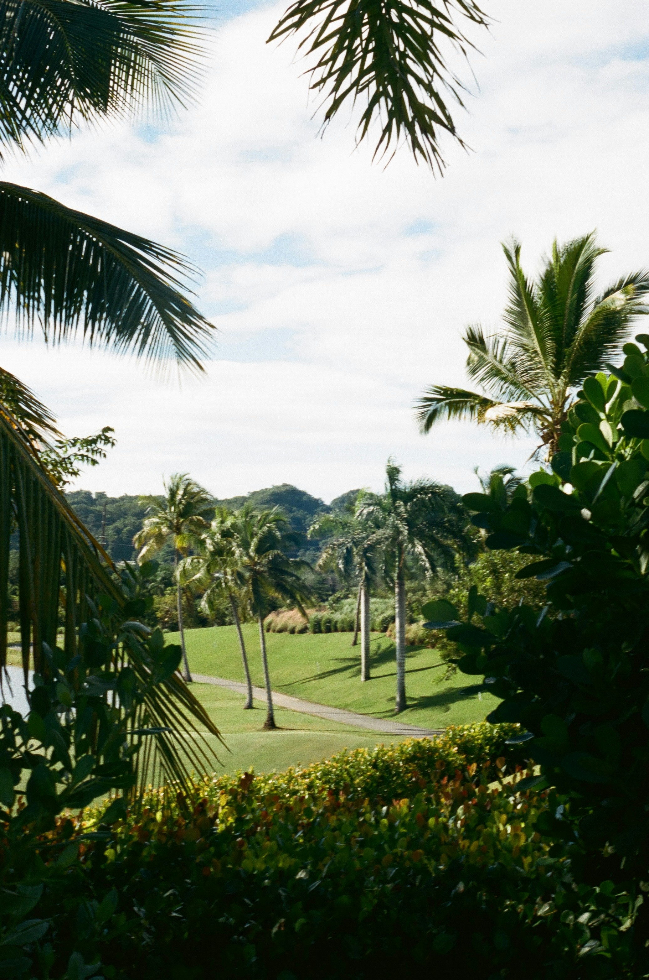 A view of a golf course through the trees photo – Free Green Image on ...