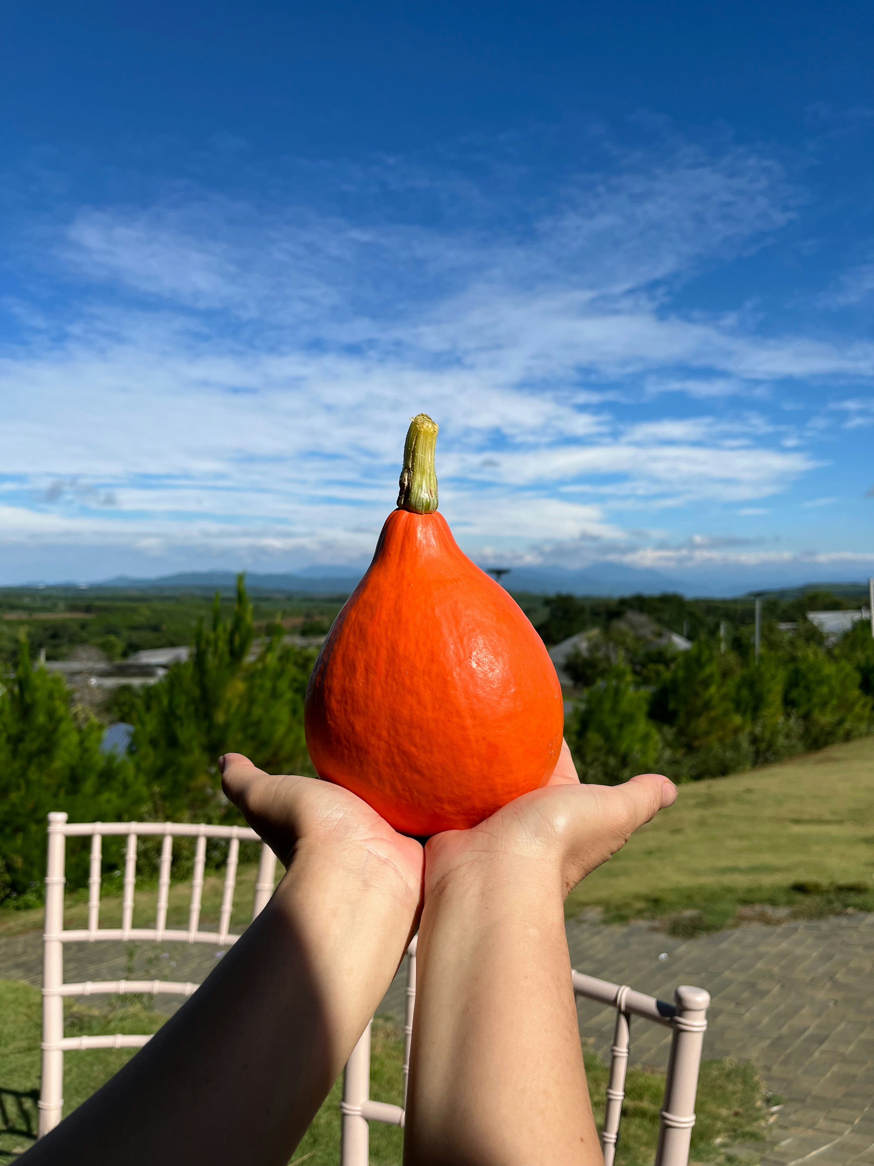 Van Le (@vanlecs) | Komunitas Foto Unsplash