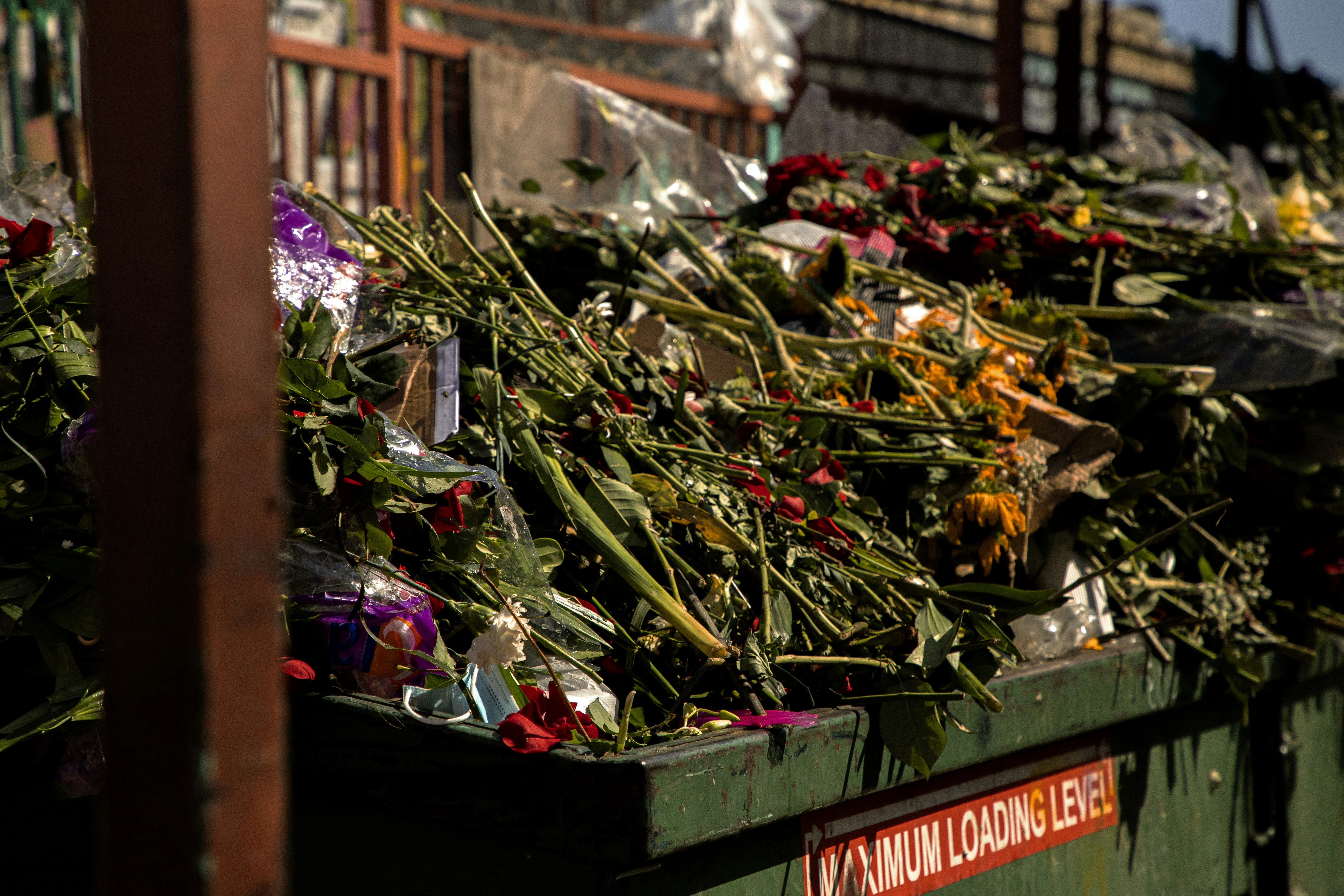 A bunch of flowers that are sitting in a bin photo – Free Flower Image ...