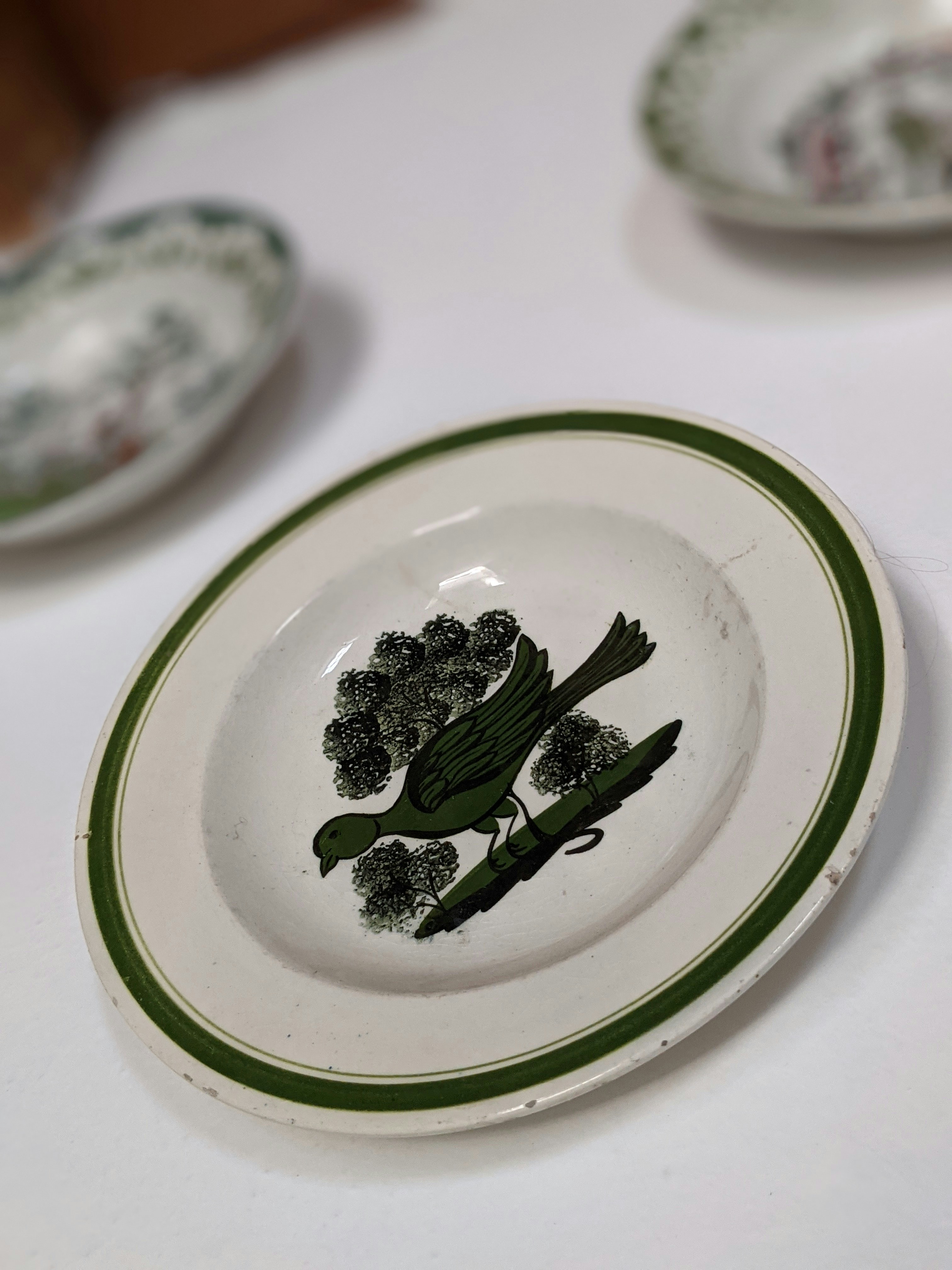 Parrot on Porcelain: A Green-Rimmed Plate as a Quiet Tabletop Study