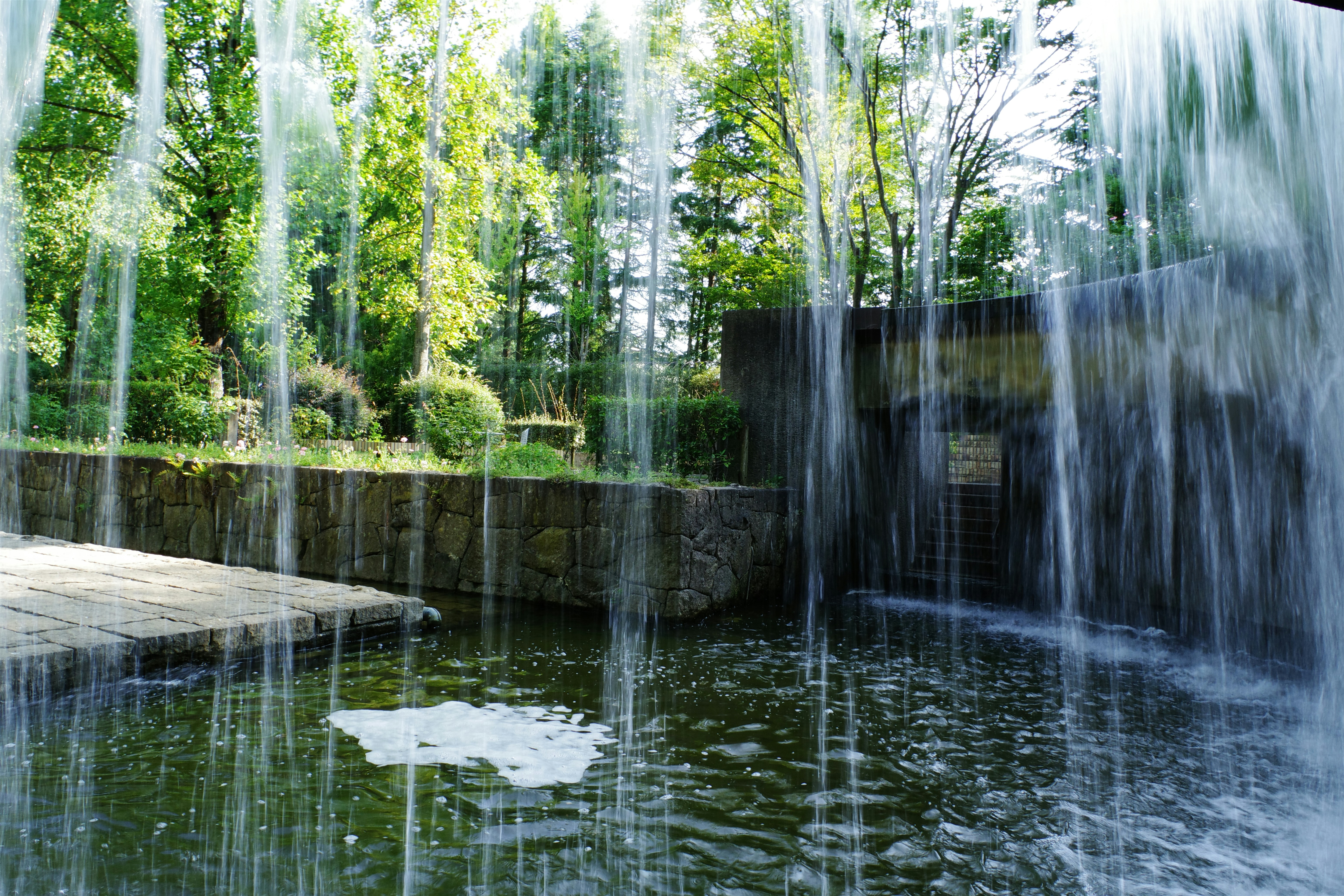 Beautiful green and flower garden、新緑と美しい花が織りなす絶景 A superb view of fresh greenery and beautiful flowers