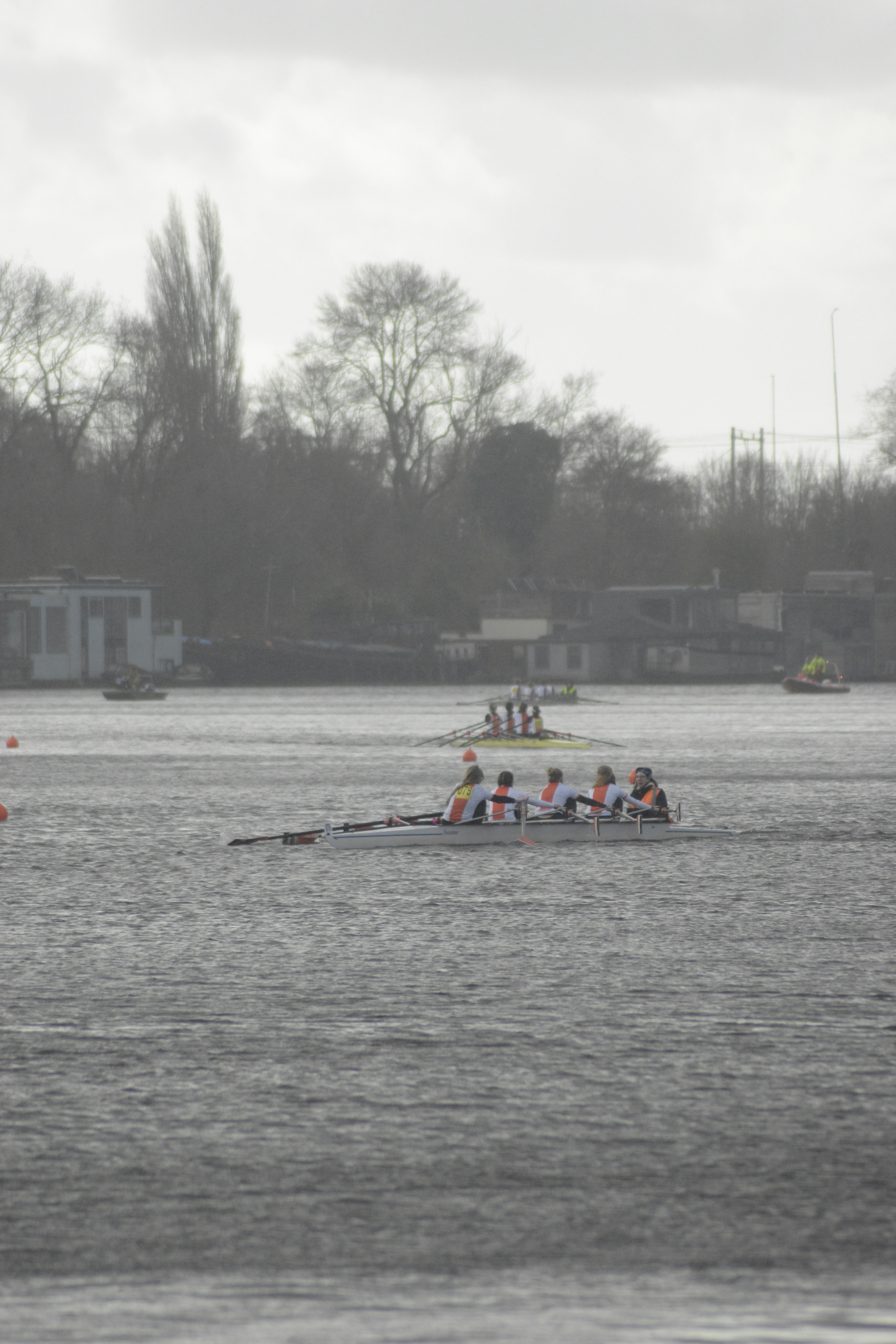 Serene Team Row at Dusk on the River
