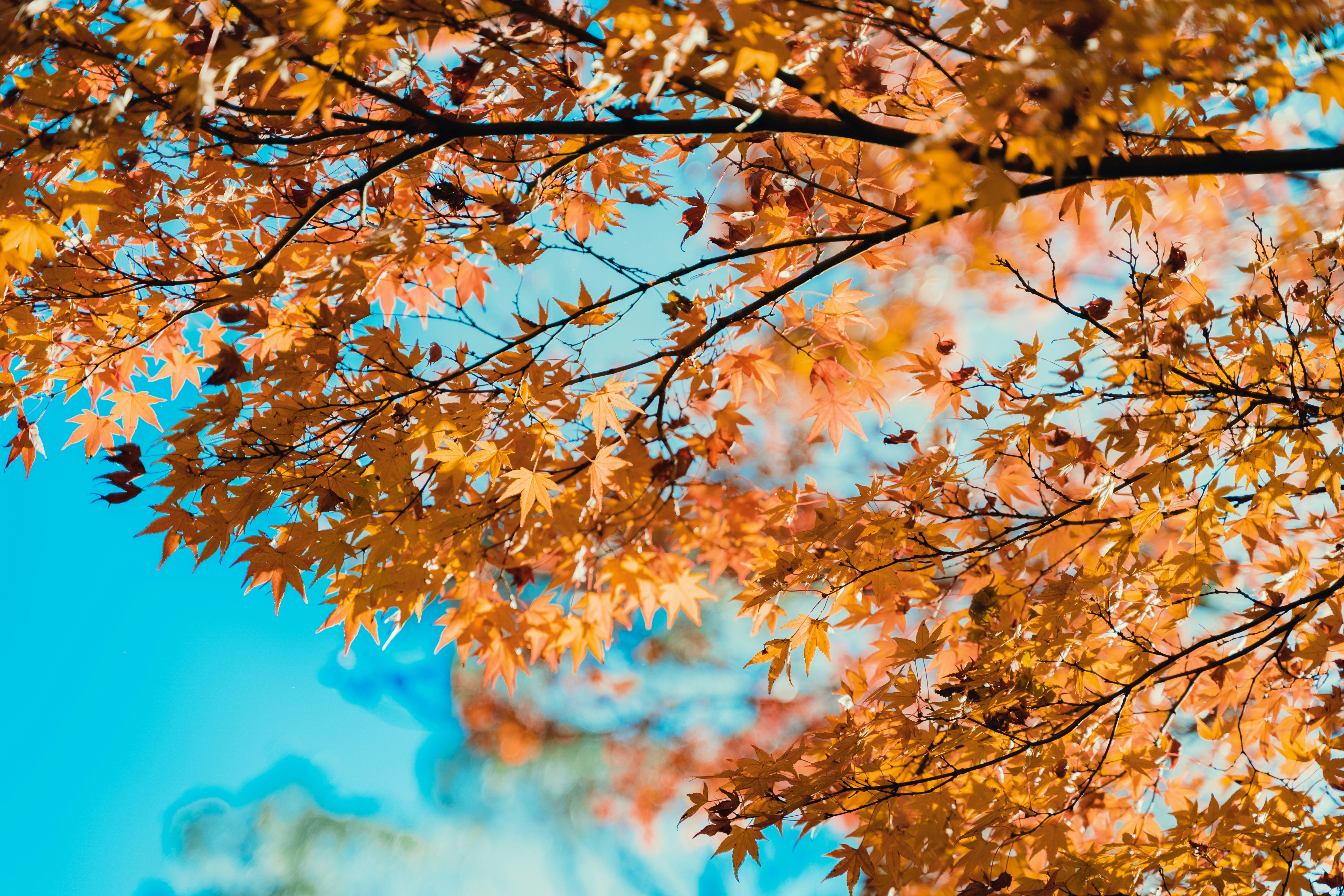 Photo by Daniele Colucci with Sony Alpha 7 III