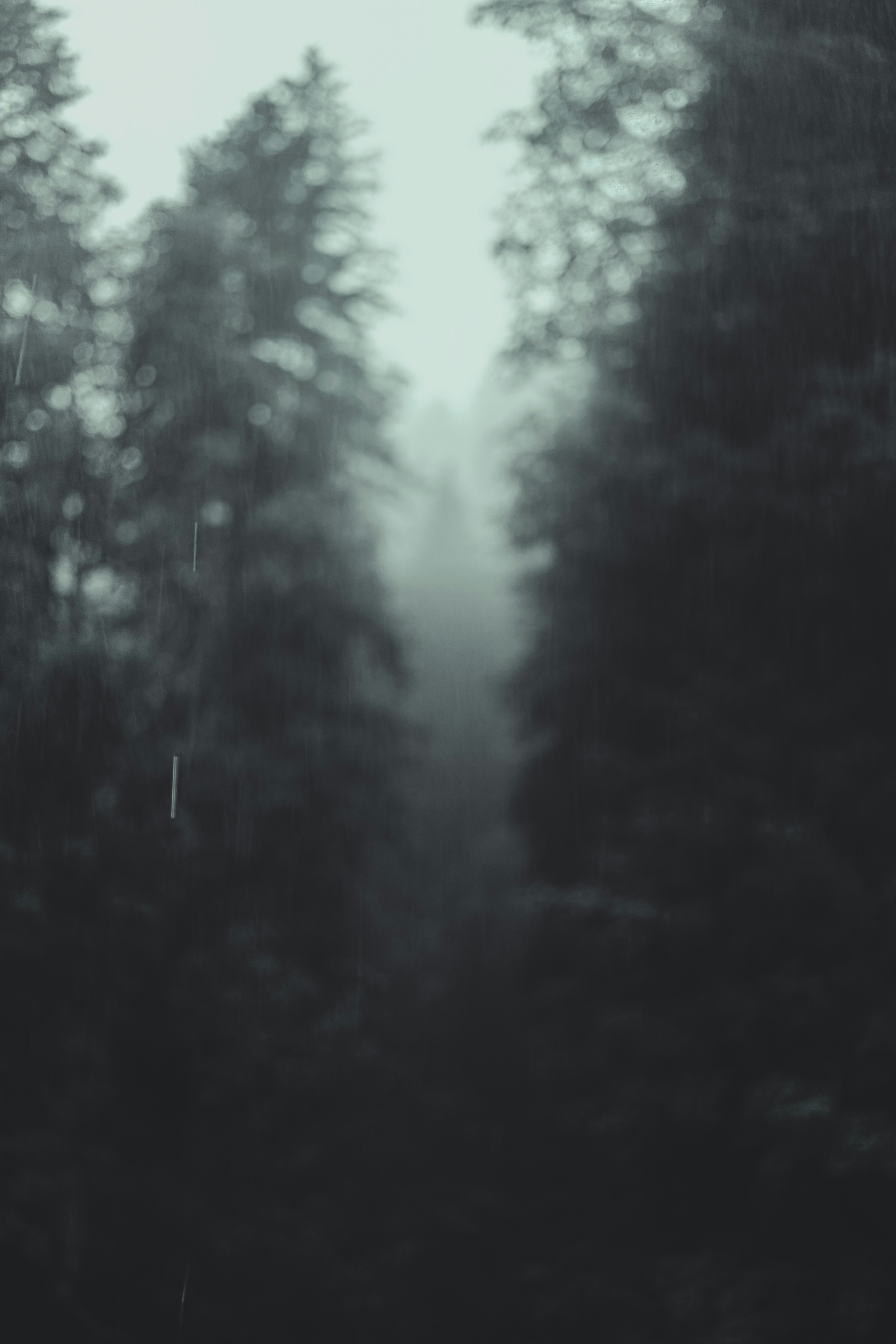 Photo by Alex Beauchamp with Sony Alpha 7 IV