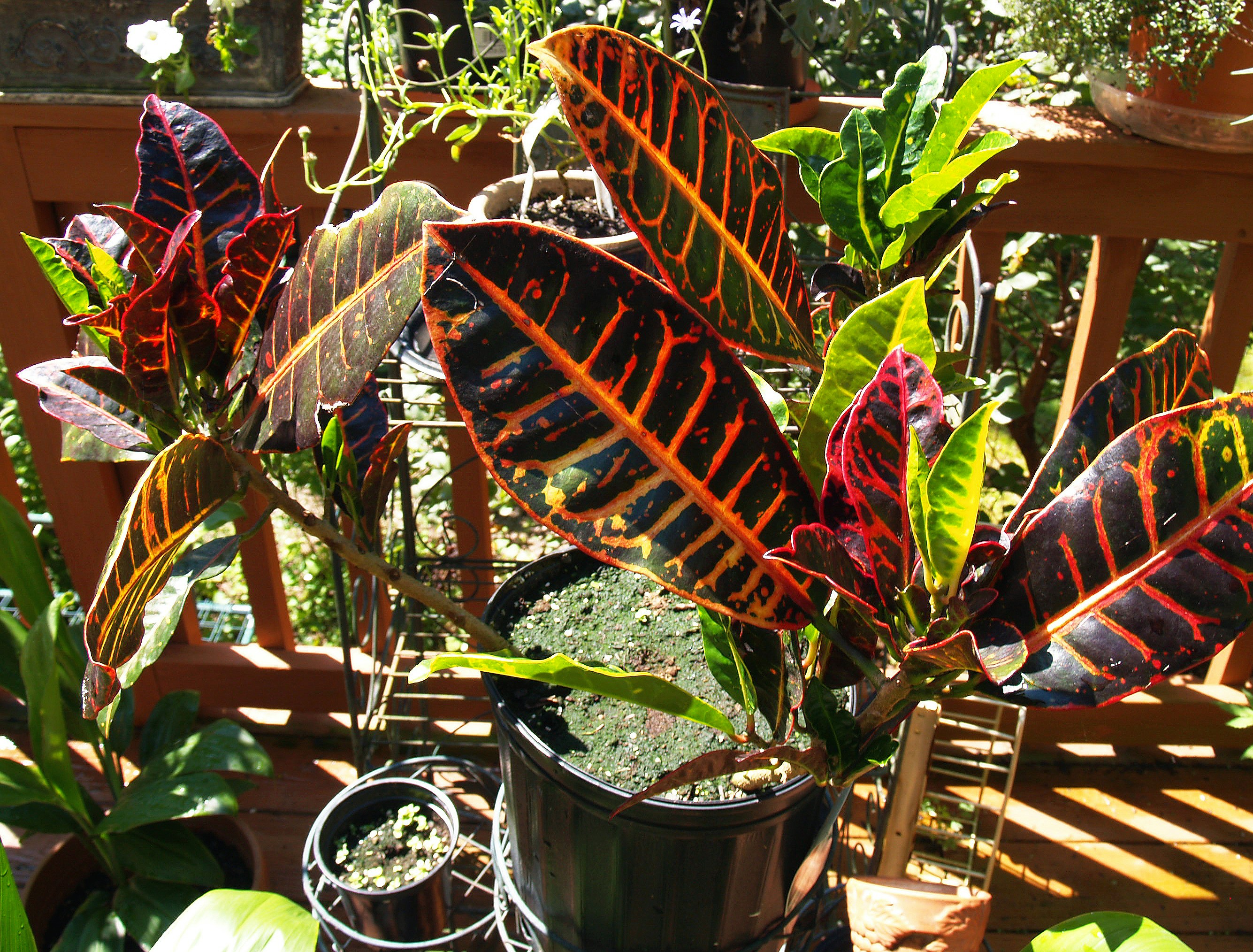 Photo by Andy Calhoun with Olympus E-500