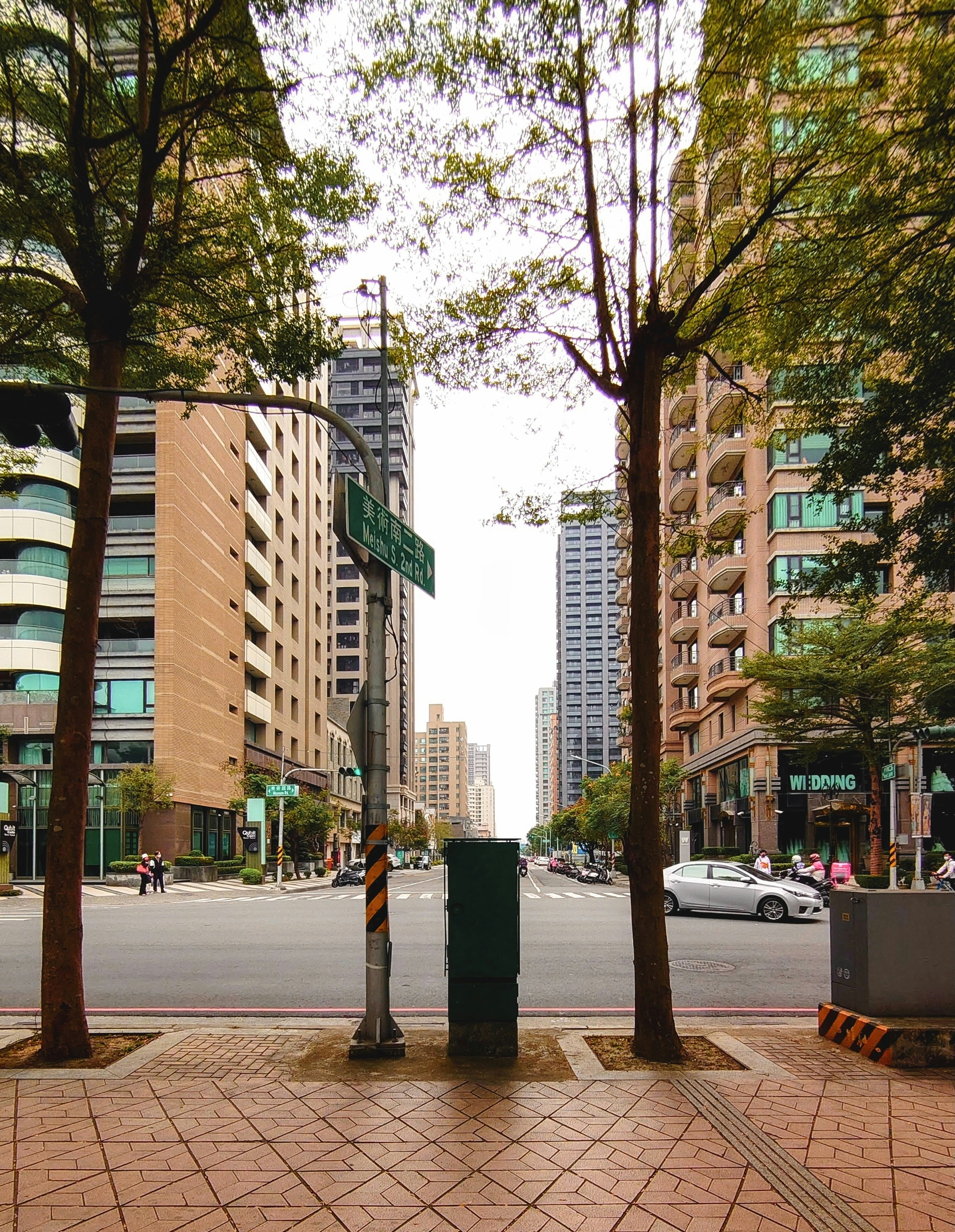 Tree-Framed Avenue: City Street Vanishing into Distance