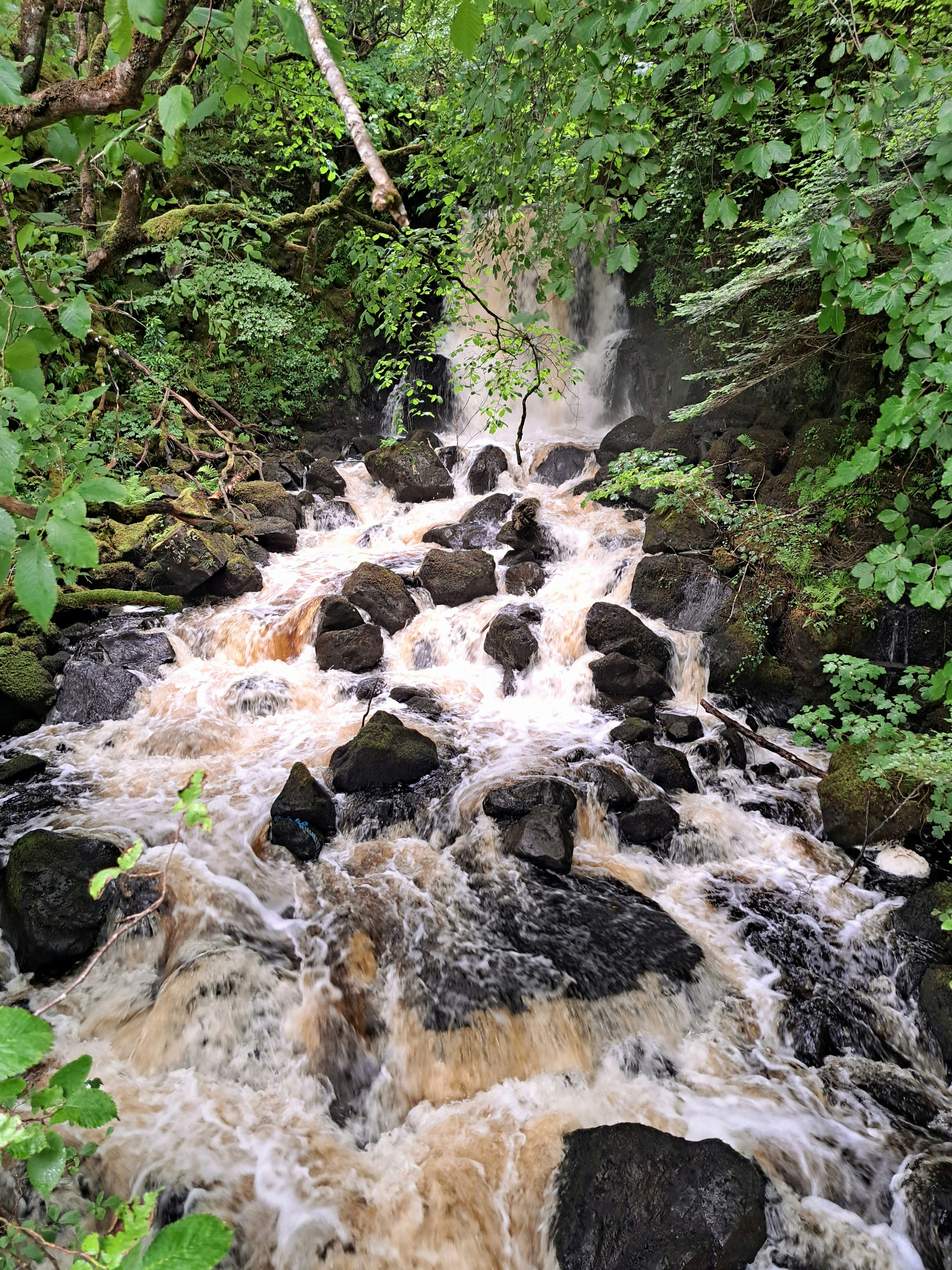 Rushing Cascade Through a Lush Green Gully