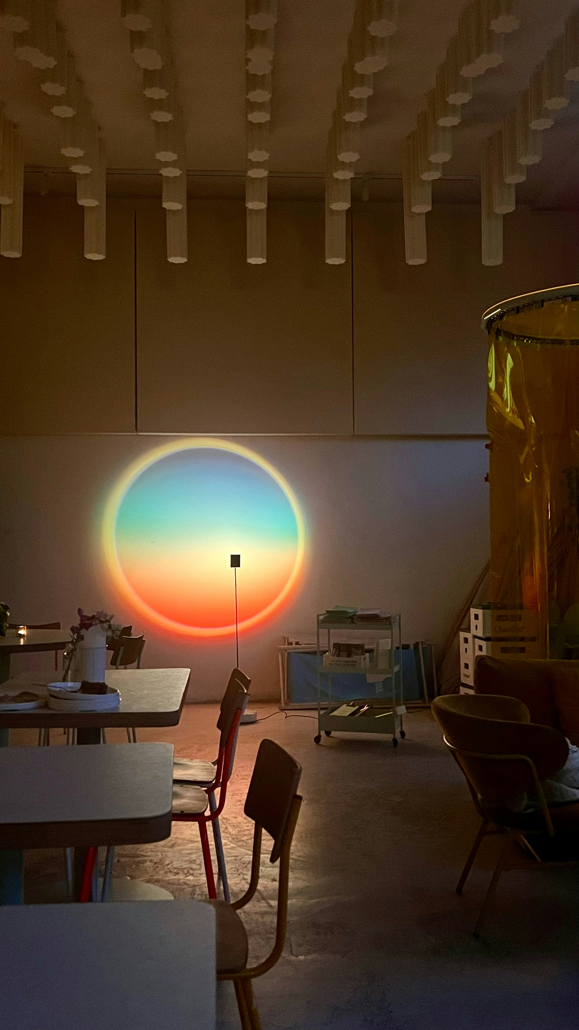 Halo of Color: A Rainbow Circle Illuminates a Quiet Studio Wall
