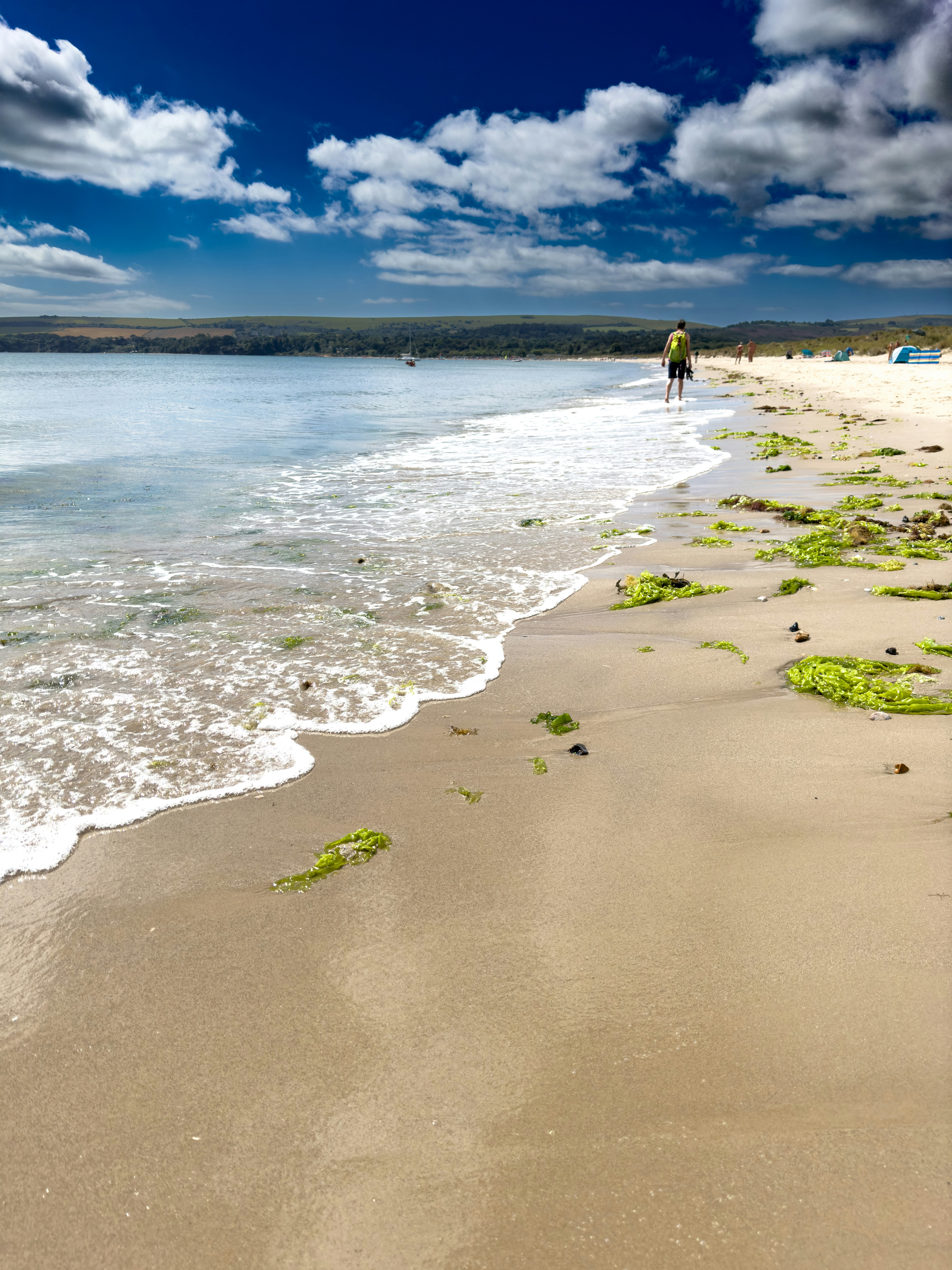 A person walking along a beach next to the ocean photo – Free Beach ...