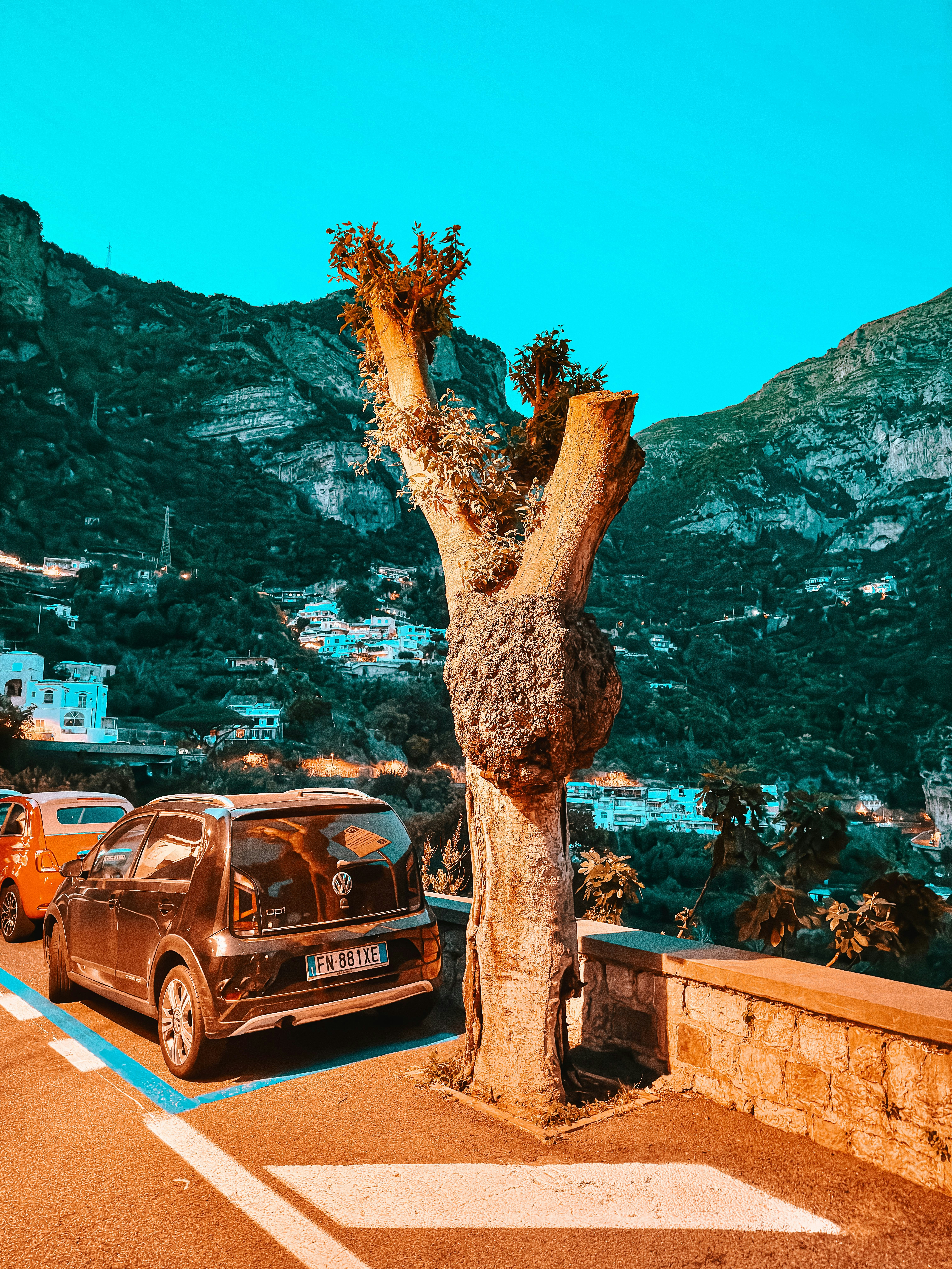 Knotted Sentinel by the Cliff: Parking Lot Portrait Under an Electric Cyan Sky