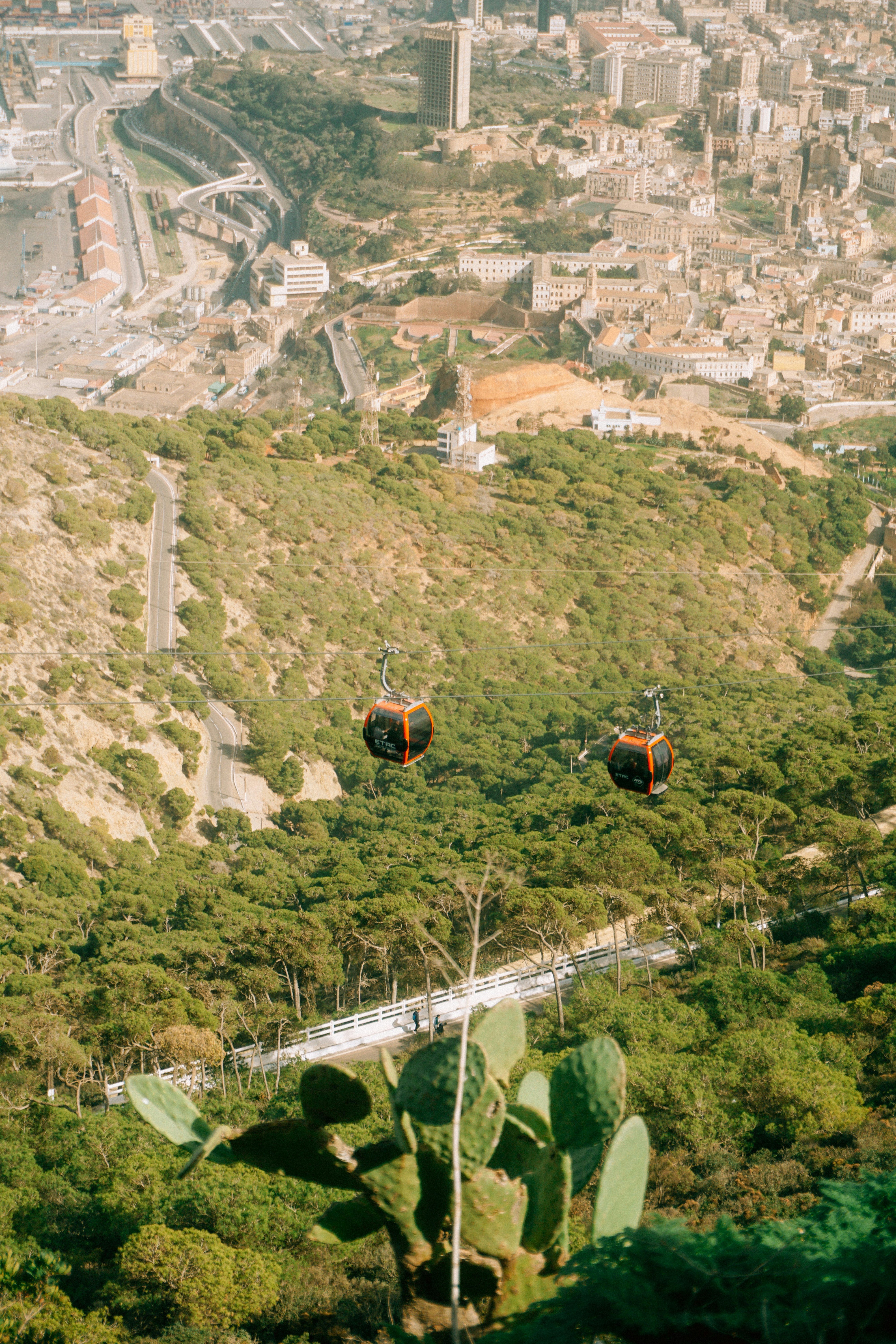 A couple of gondolas flying over a lush green hillside photo – Free ...