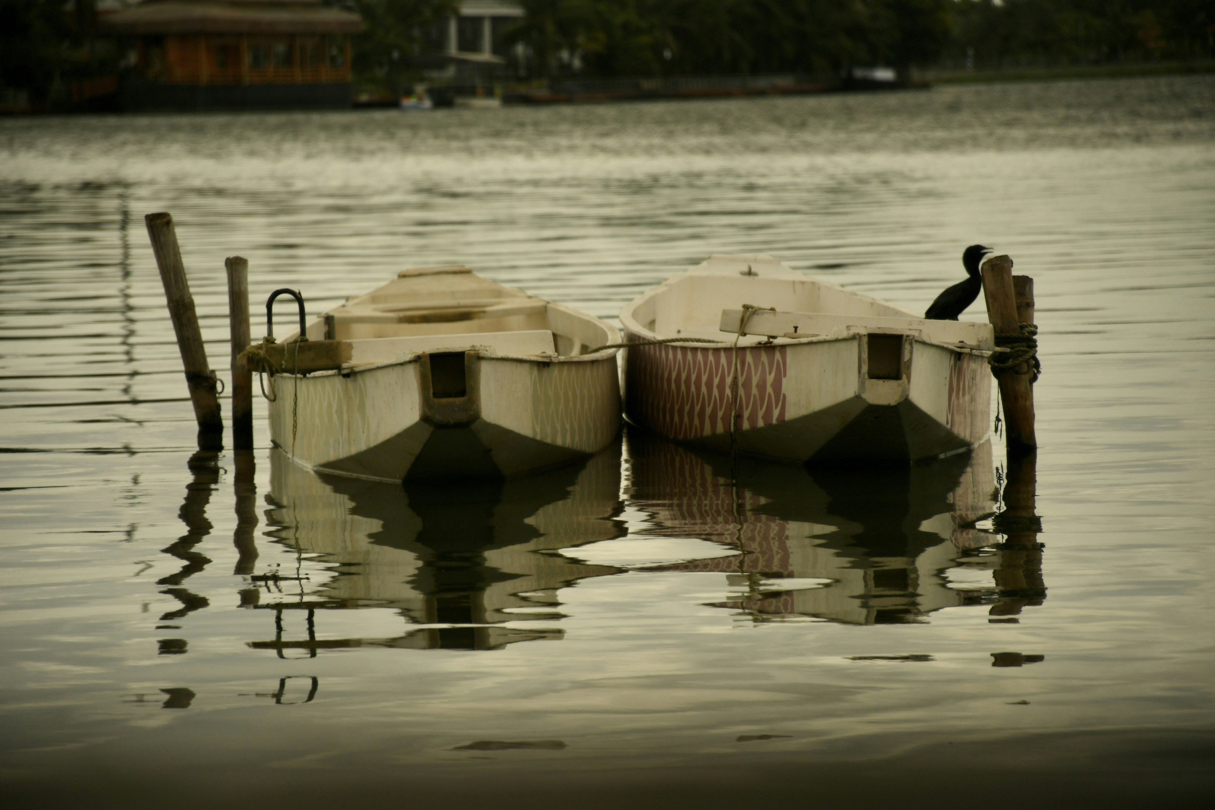 Dusk on the Quiet Dock: Twin Boats and a Sentinel Crow