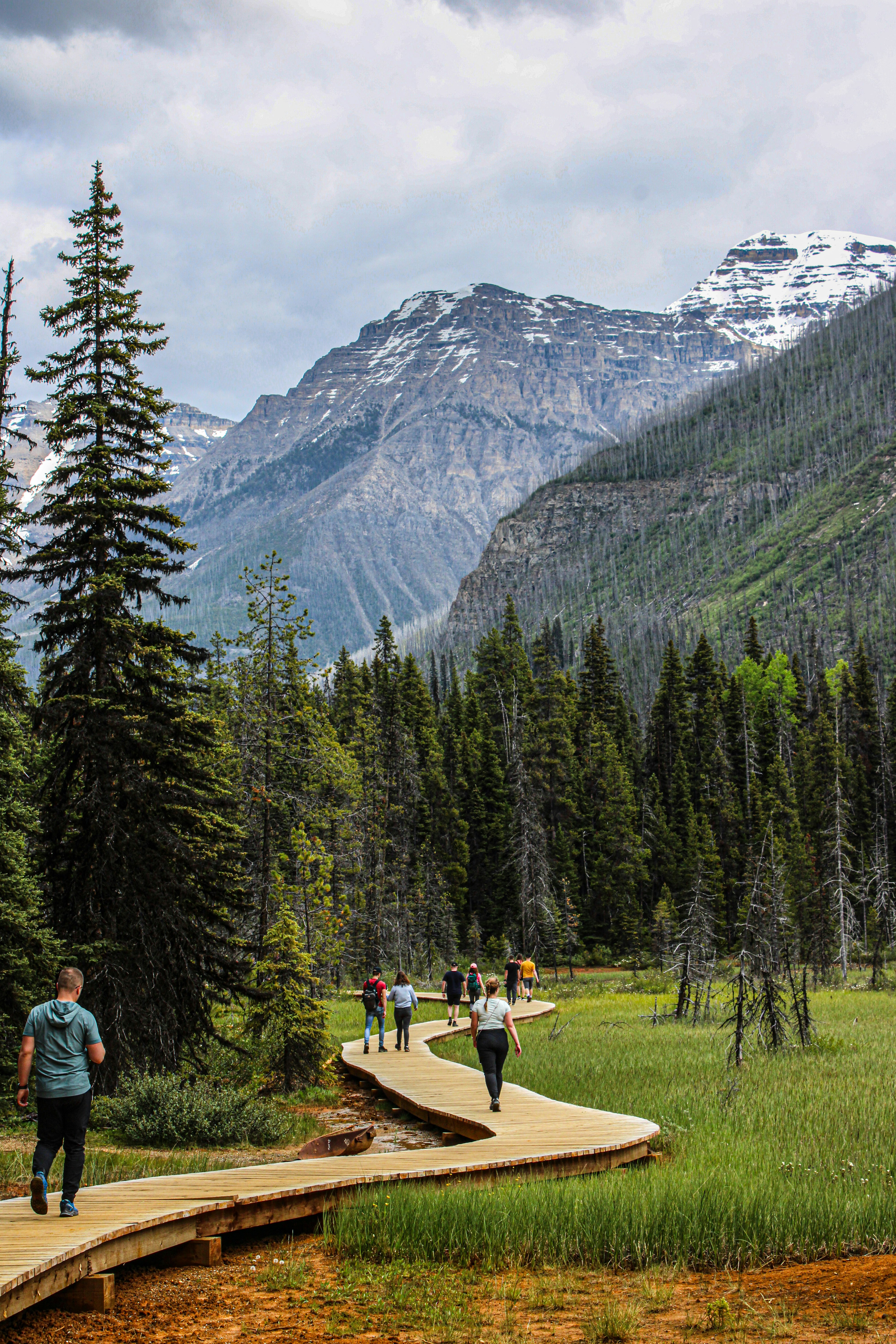 A group of people walking across a wooden walkway