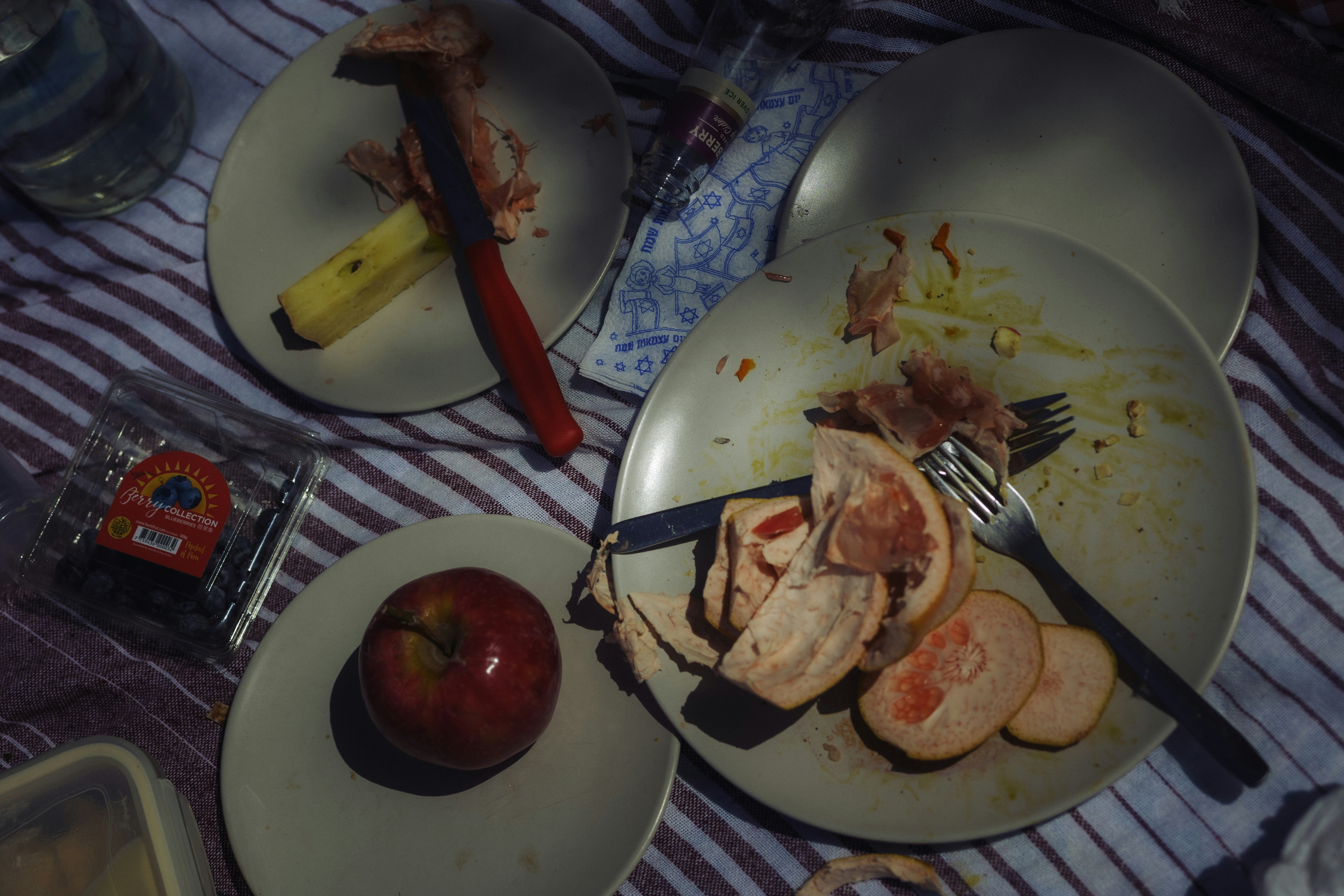 Unfinished Picnic: Sliced Fruit and Mirror of Red Utensils