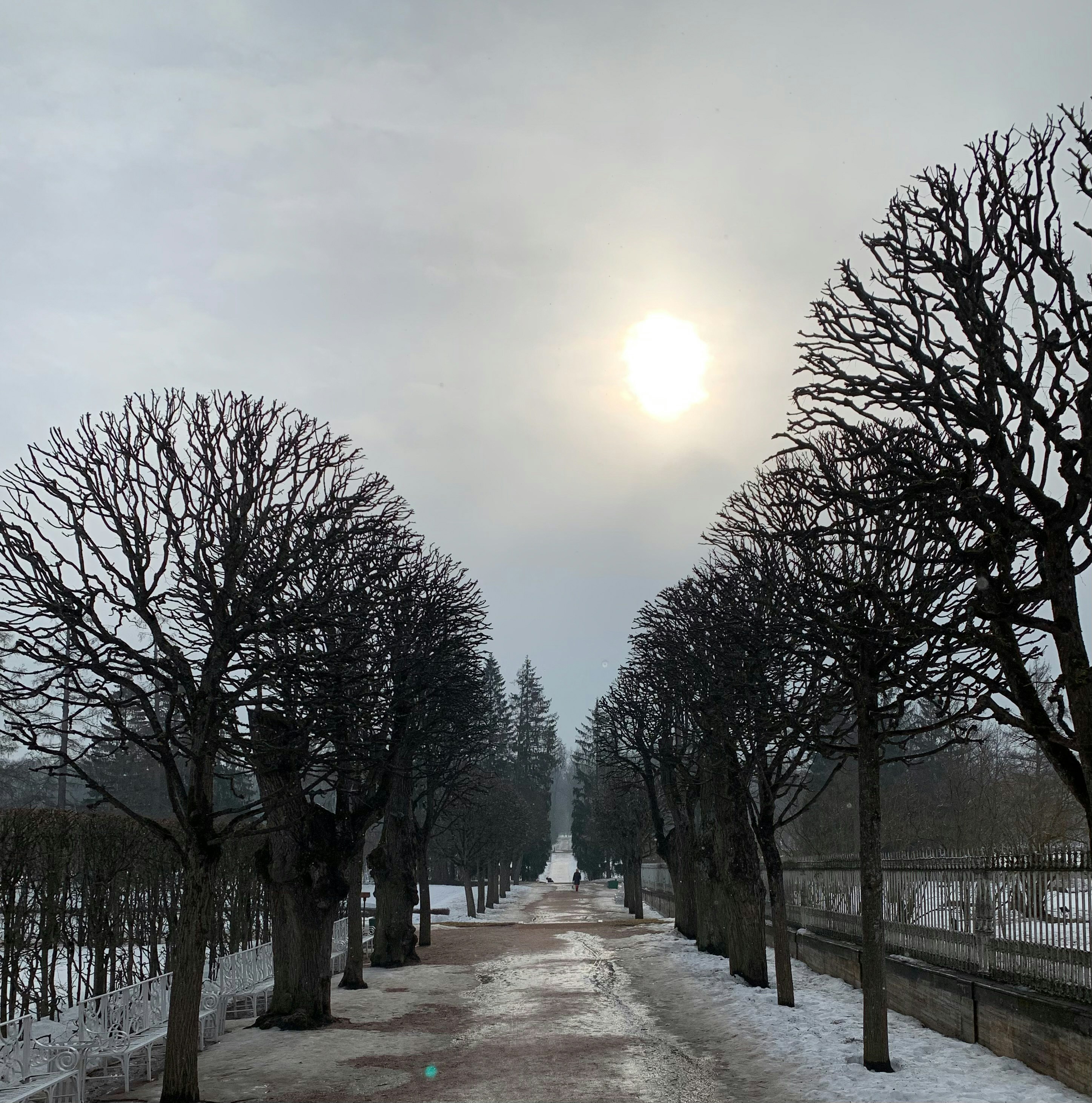 Photo by Mariya Ternovaya with Apple iPhone XR