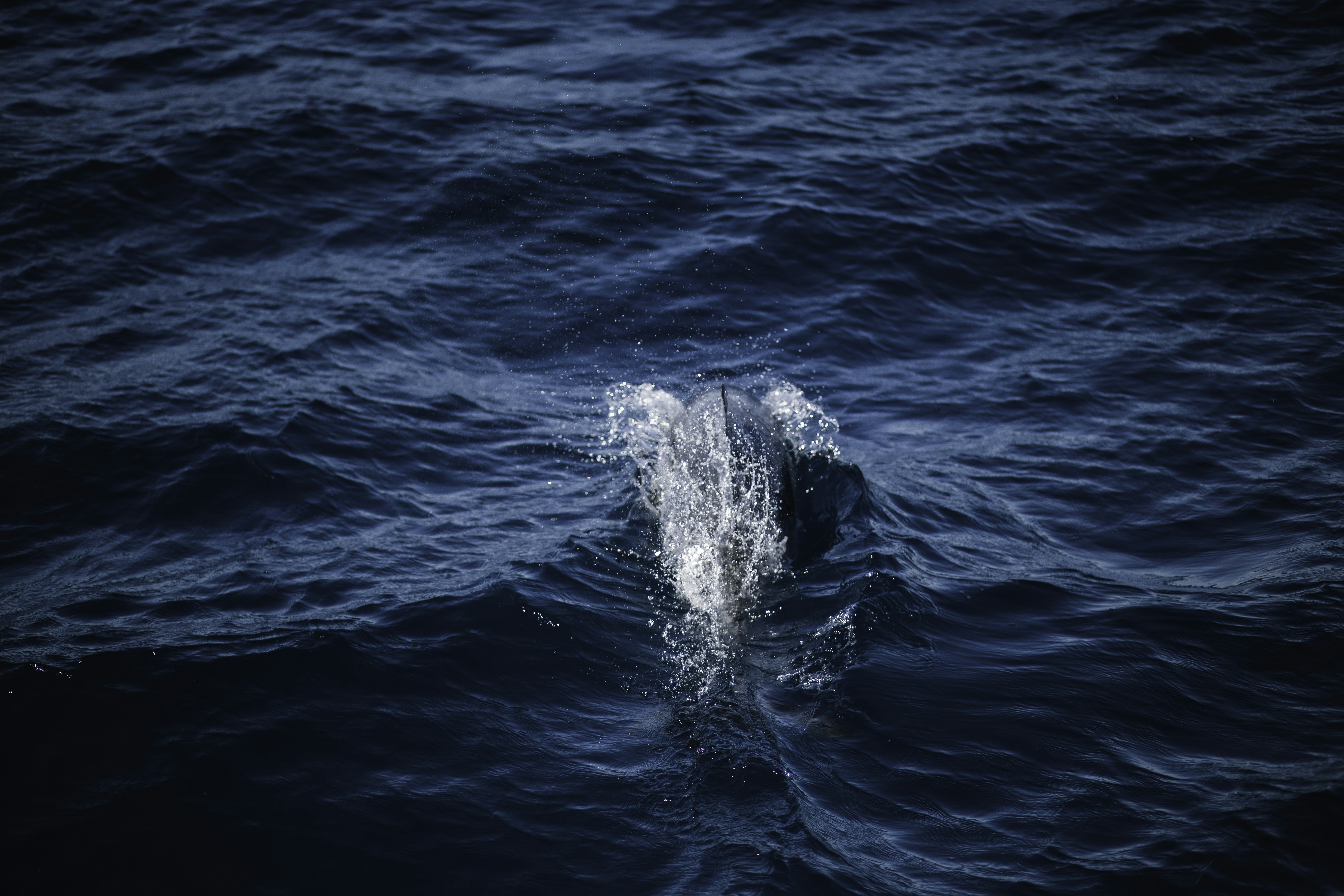 Photo by BehindTheTmuna with Canon EOS R6