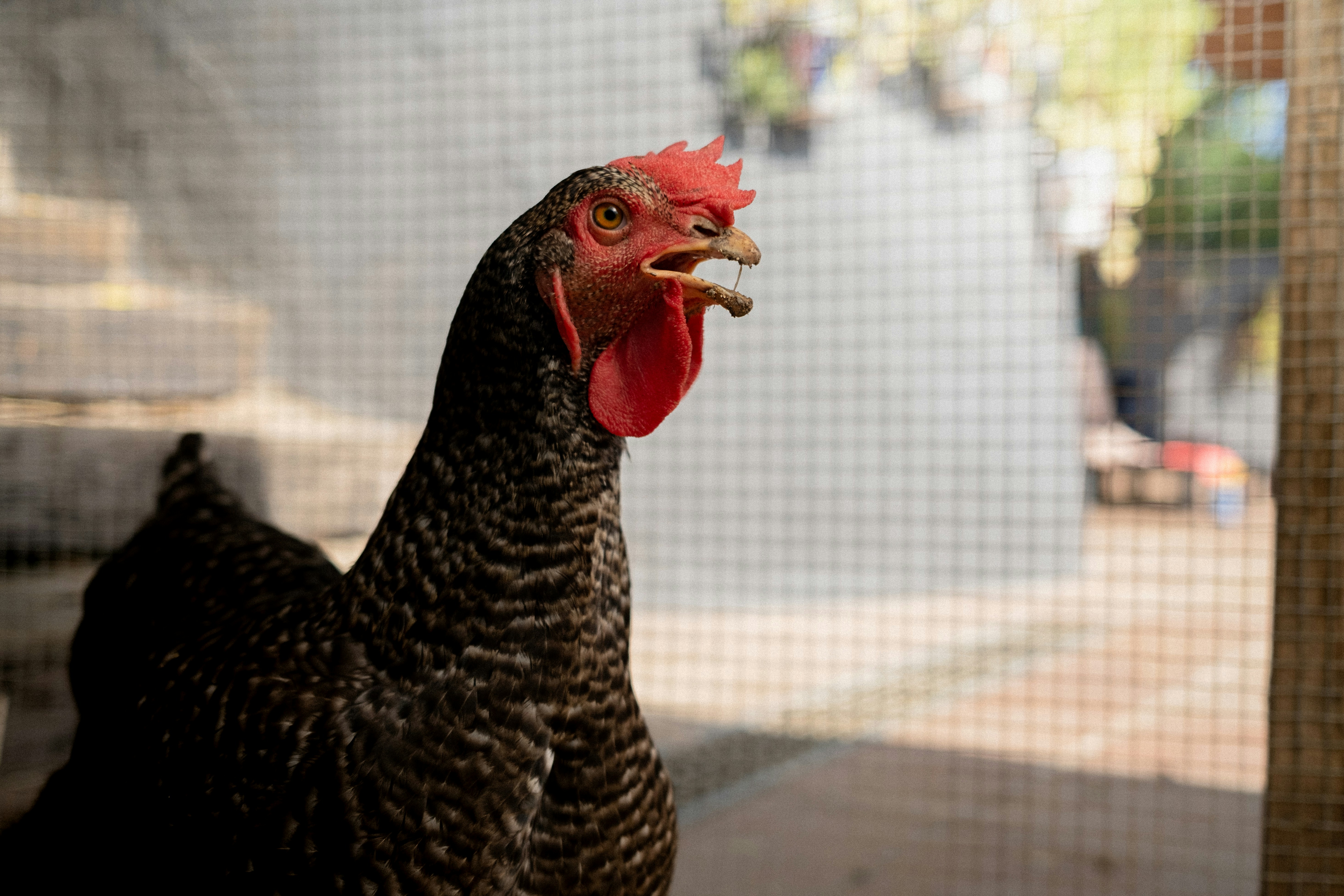 Photo by Laura España with Fujifilm X100V