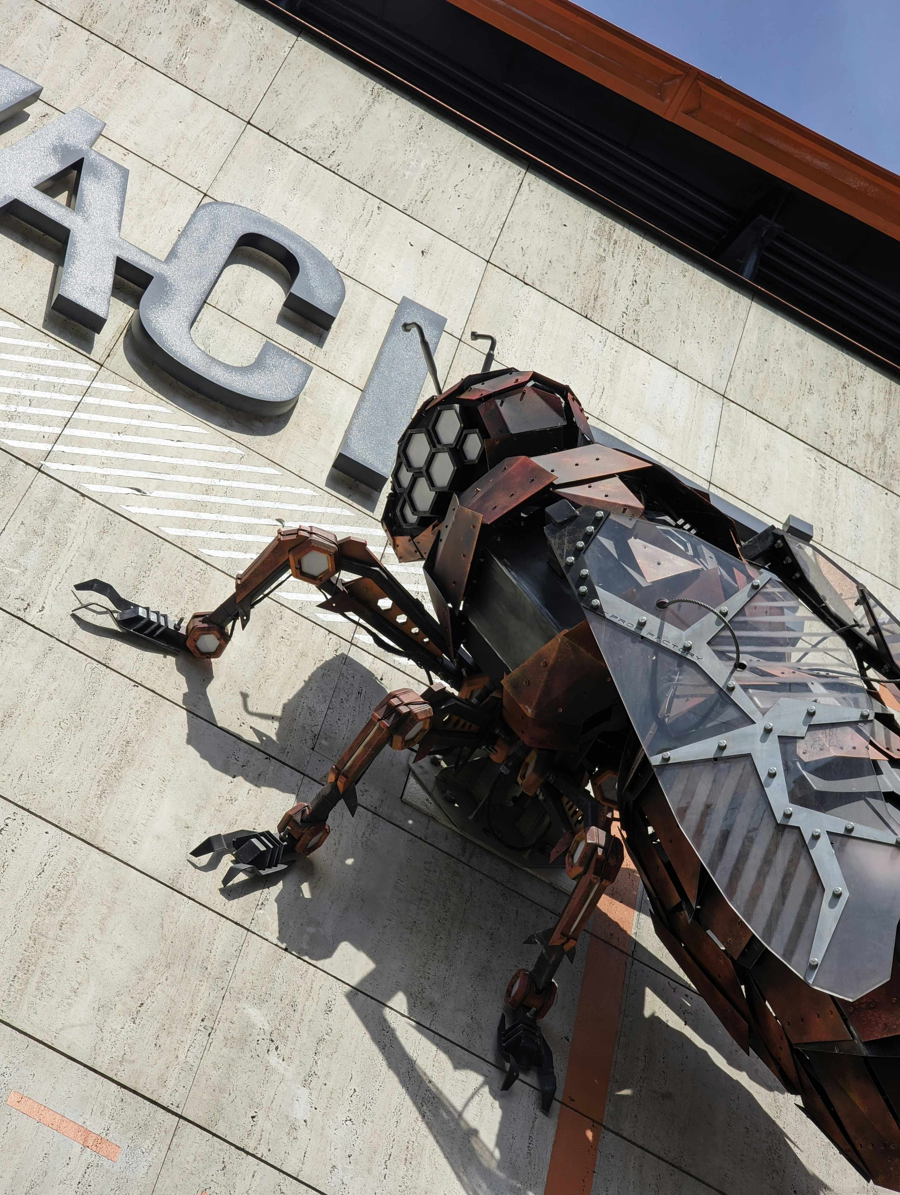Rust-Red Automaton Beetle Clings to a Concrete Facade