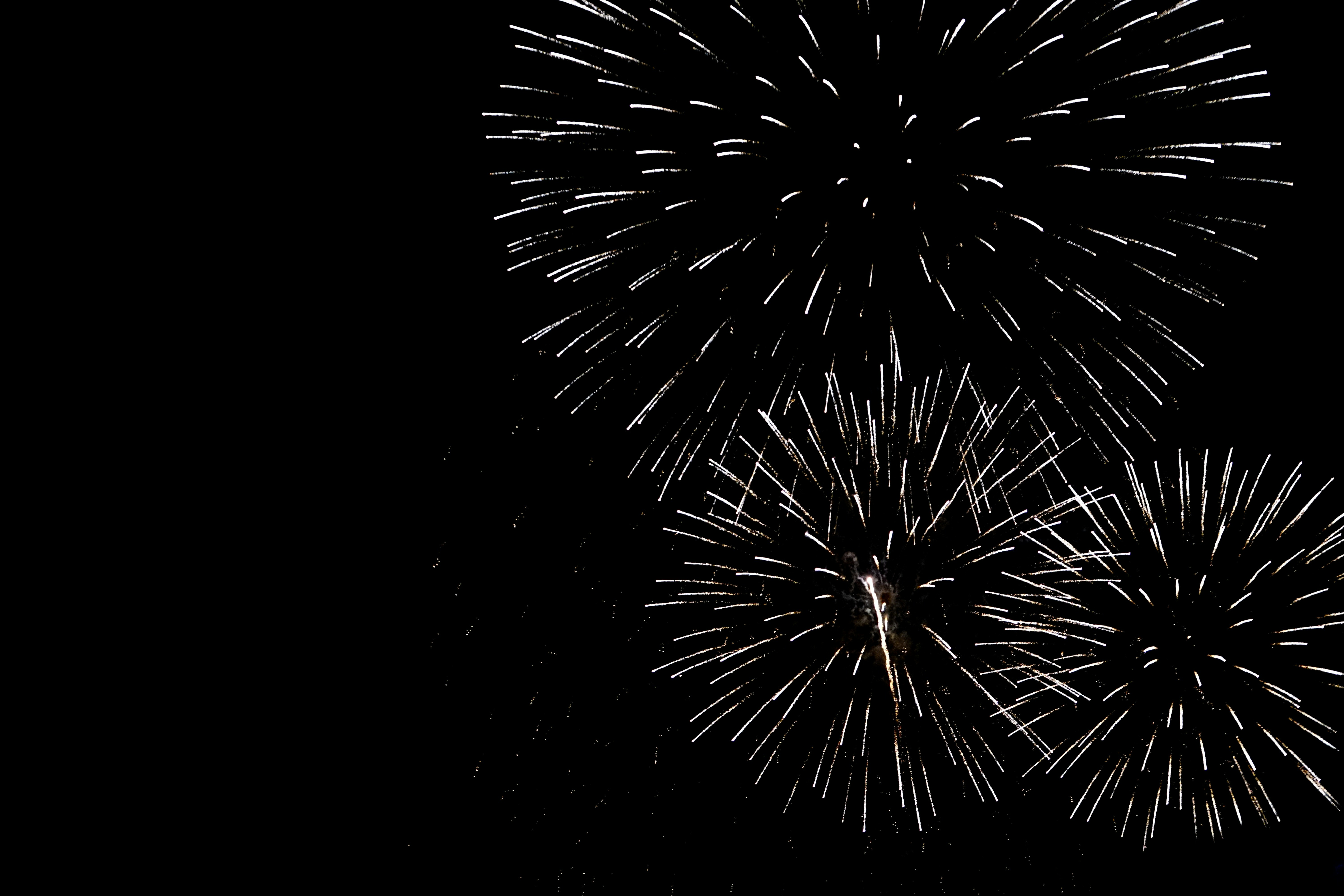 Triple Firework Bursts Ignite the Black Night Sky
