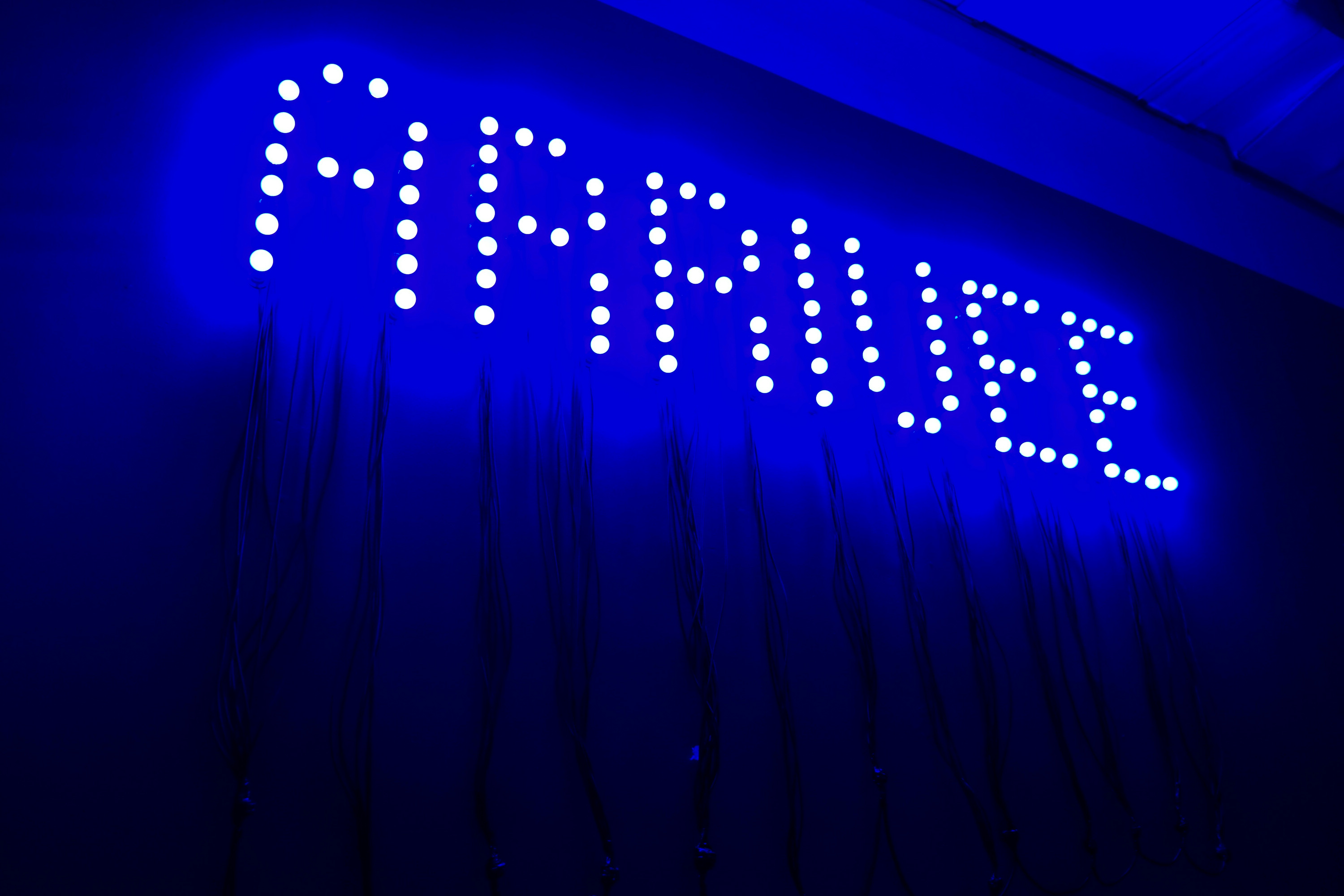 MERQUE in Blue: Dot-Motif Neon Letters Lighting a Quiet Room