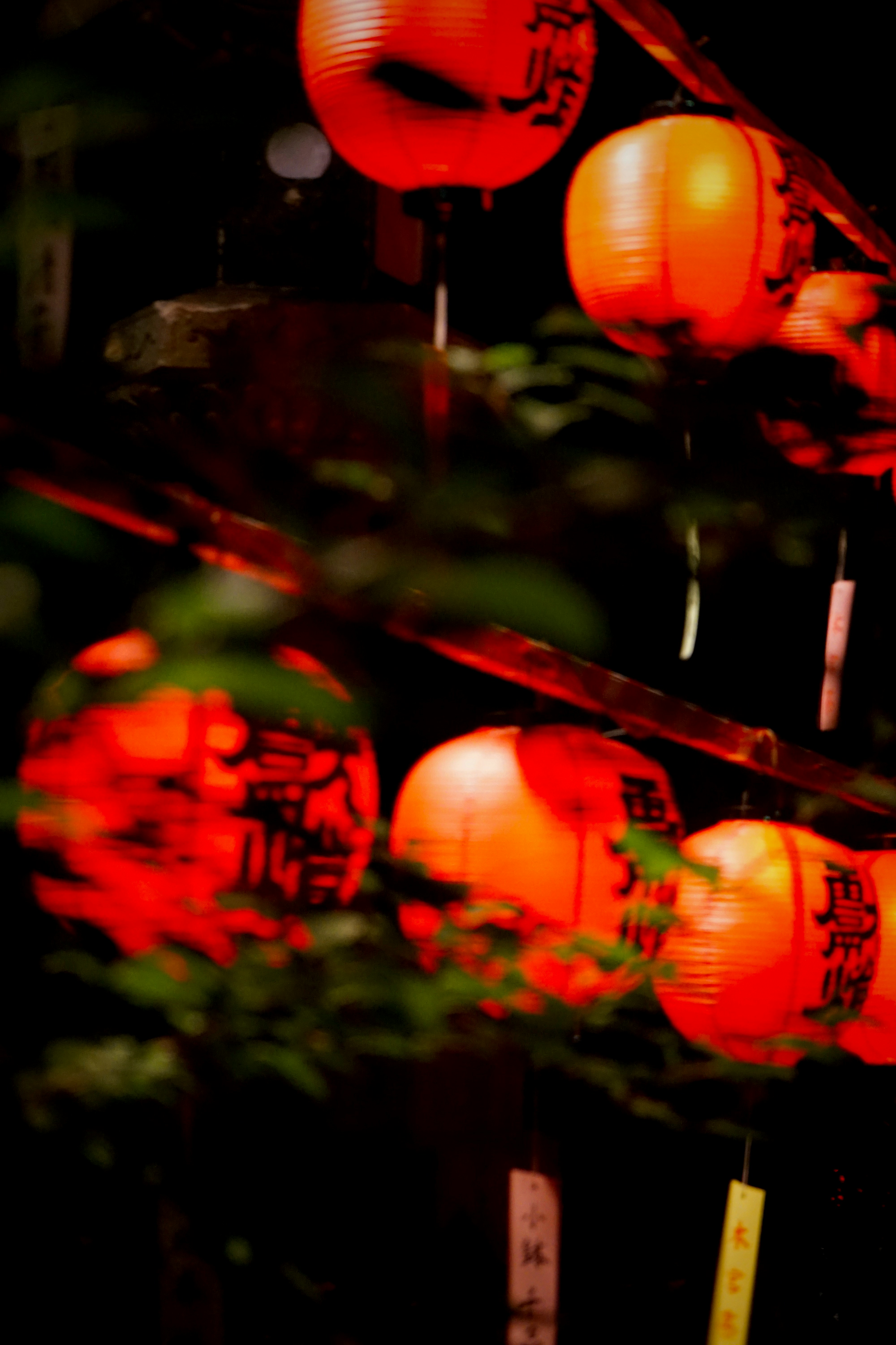 Crimson Lanterns in Velvet Night: A Quiet Cascade of Warm Light