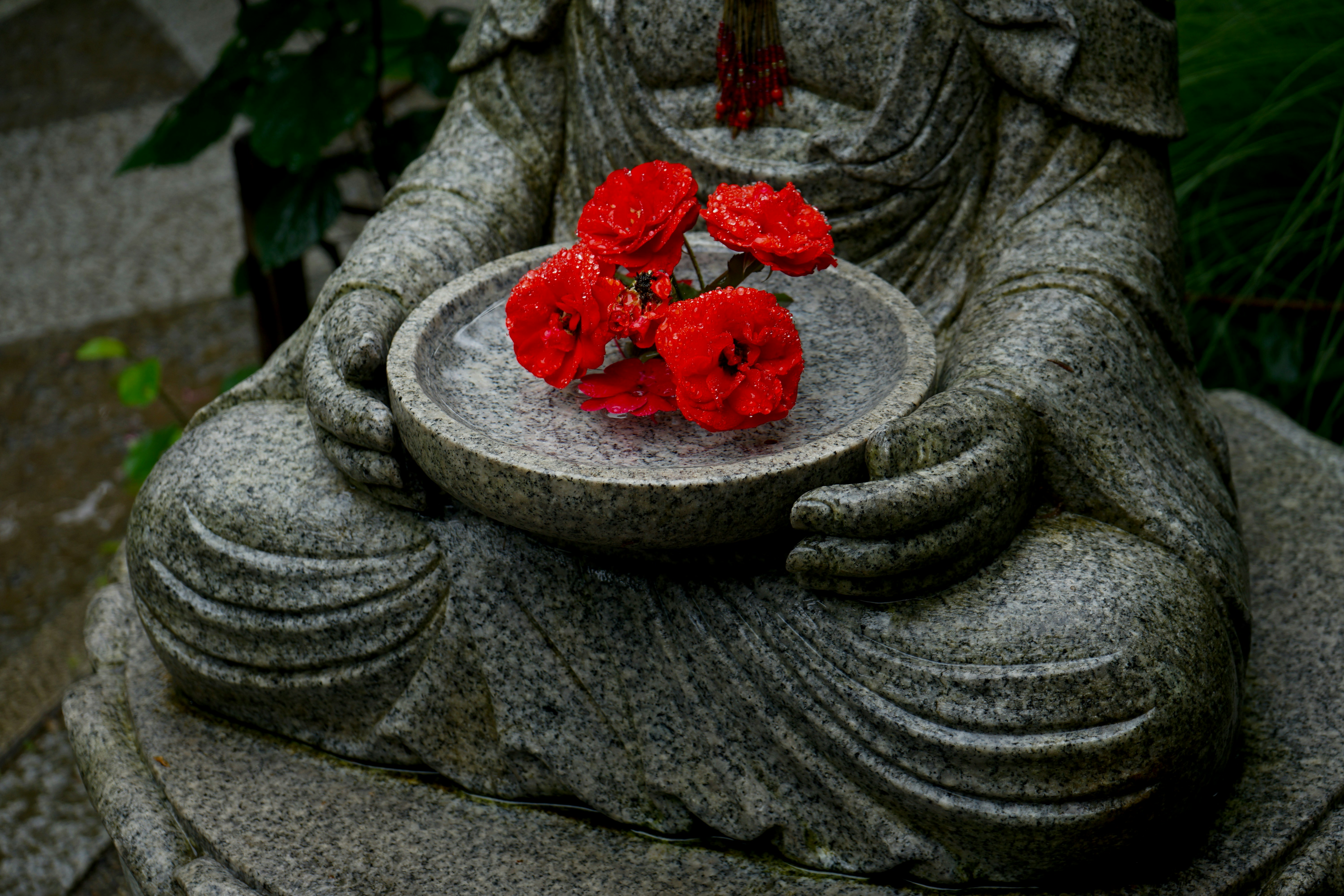 Crimson Offerings: Red Flowers Rest on a Stone Alms Bowl