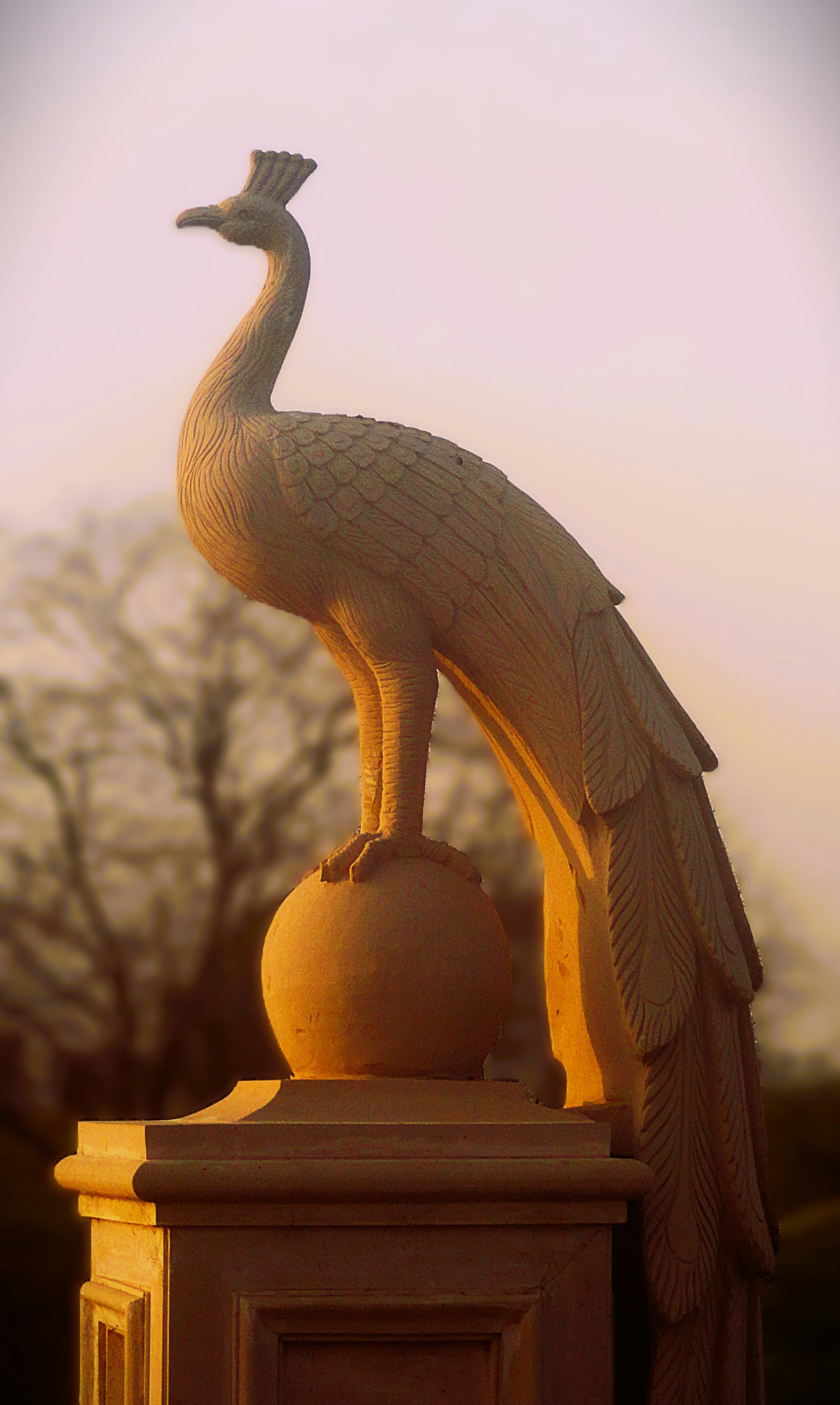 Sculpted bird statue perched on a spherical finial atop a pedestal, bathed in warm sunset light.