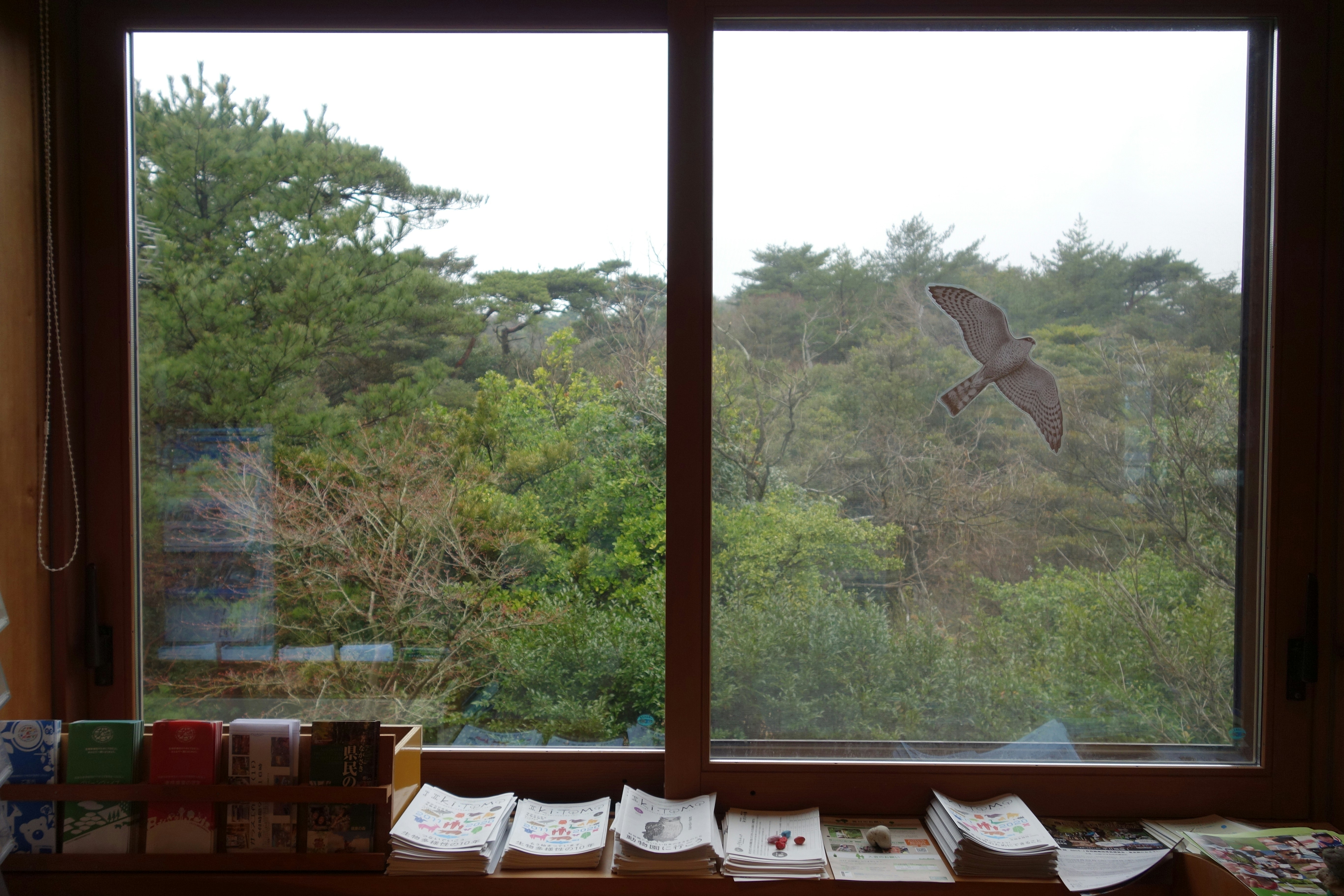 A window with a bird flying out of it photo – Free Japan Image on Unsplash