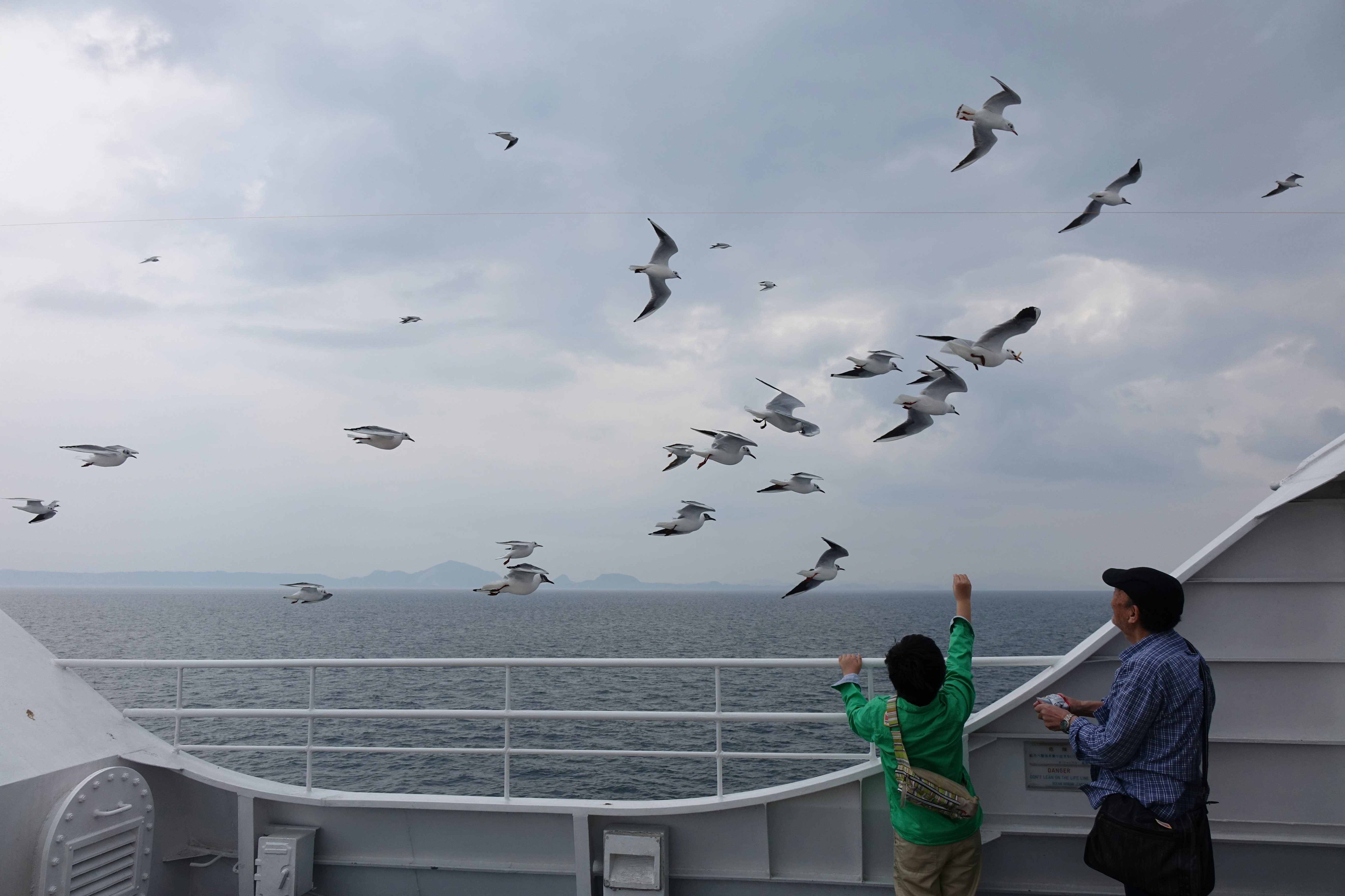 Gulls at the Rail: A Quiet Atlantic Moment