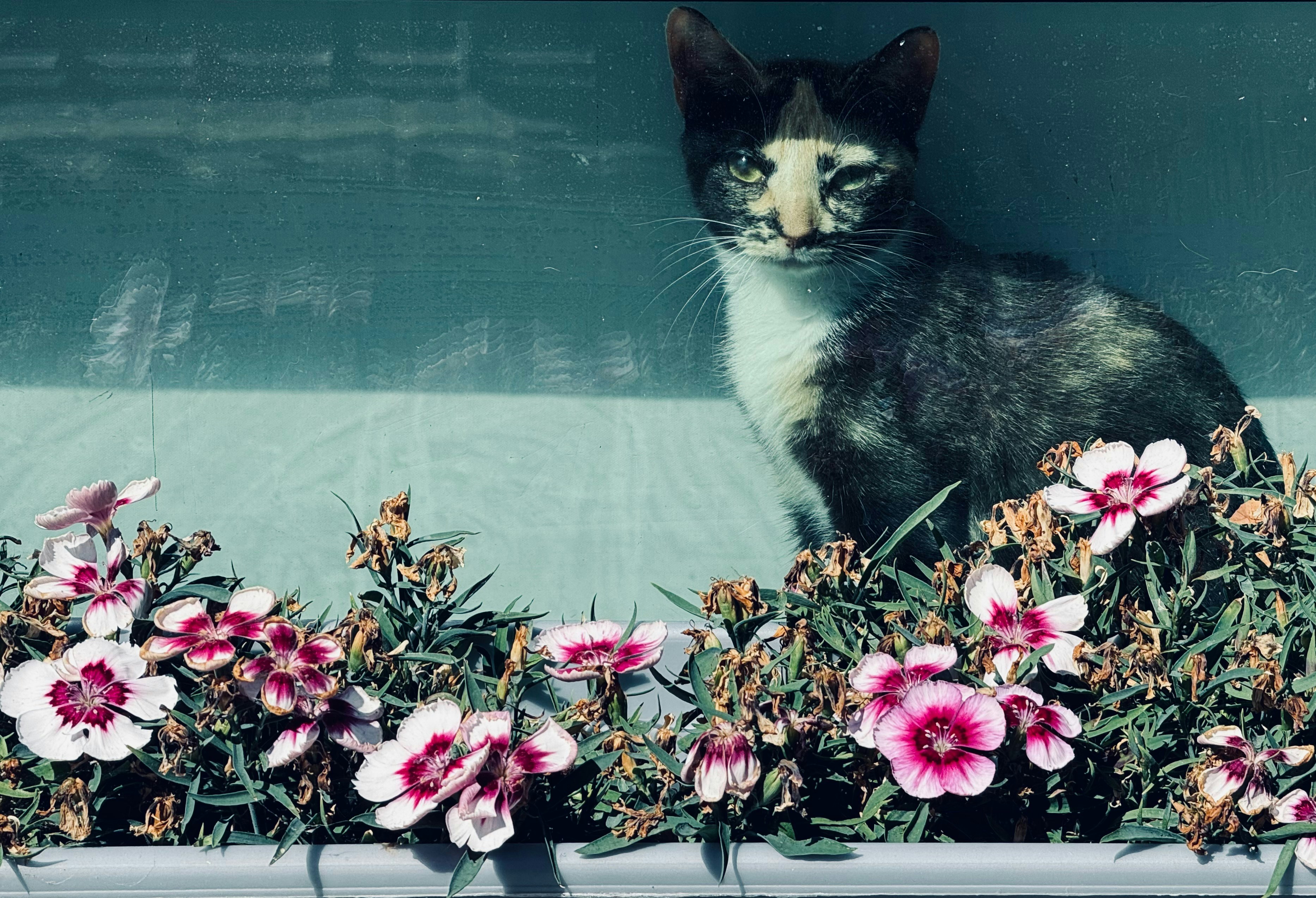 Photo by Tomás Robertson with Apple iPhone 15 Pro Max