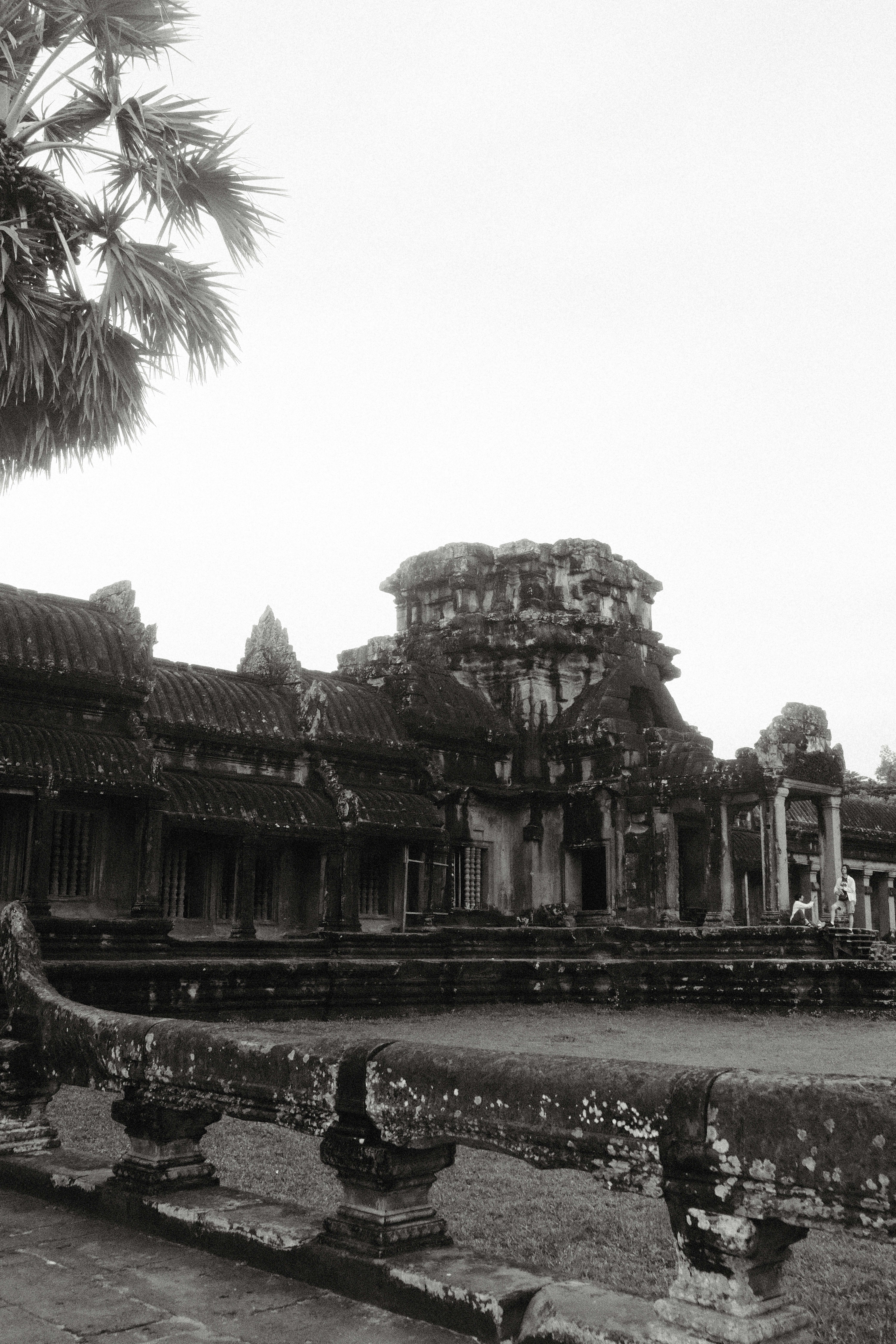 Ancient Khmer Ruins under Broad Canopy