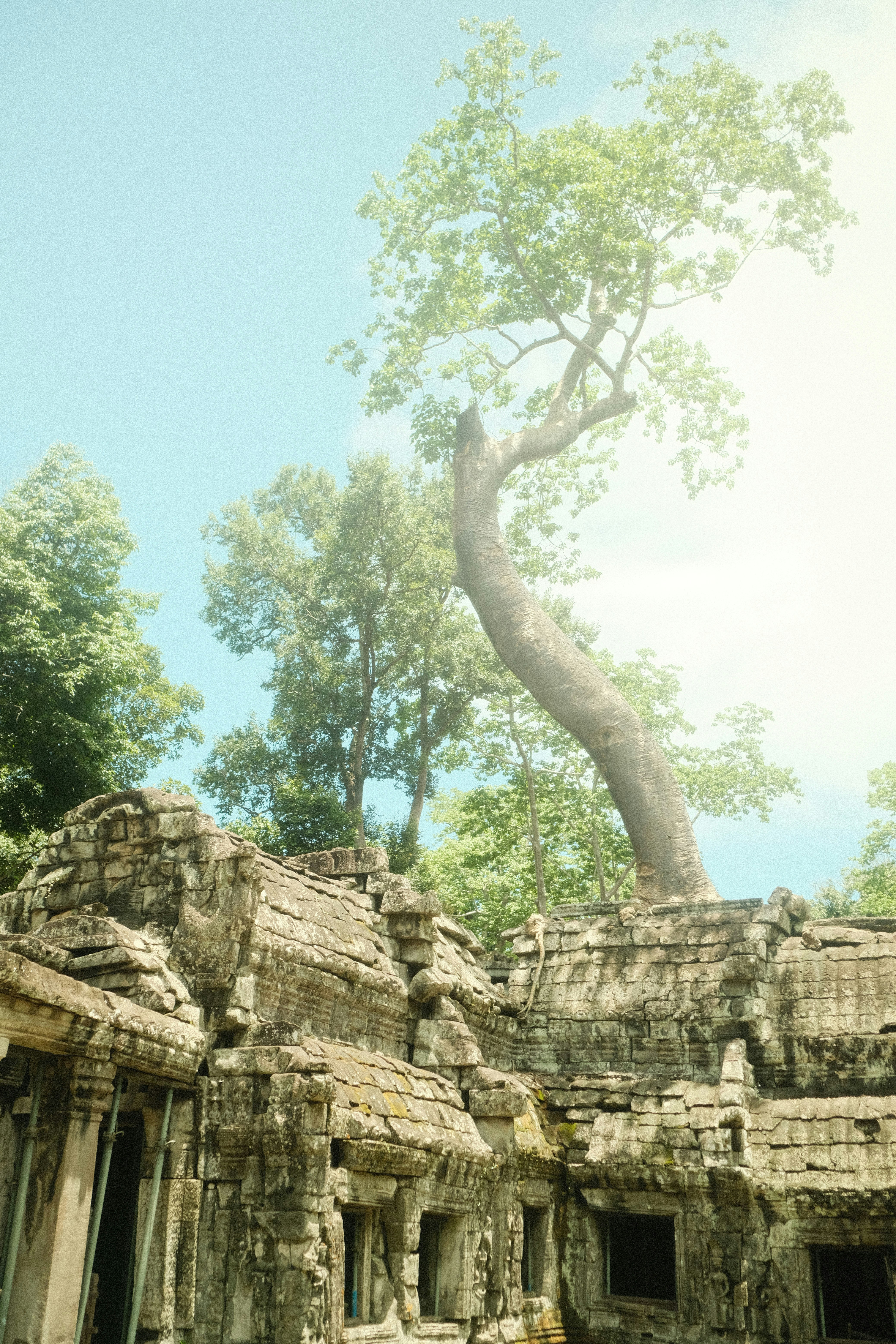 Photo by Anthony Lim with Fujifilm X-T4