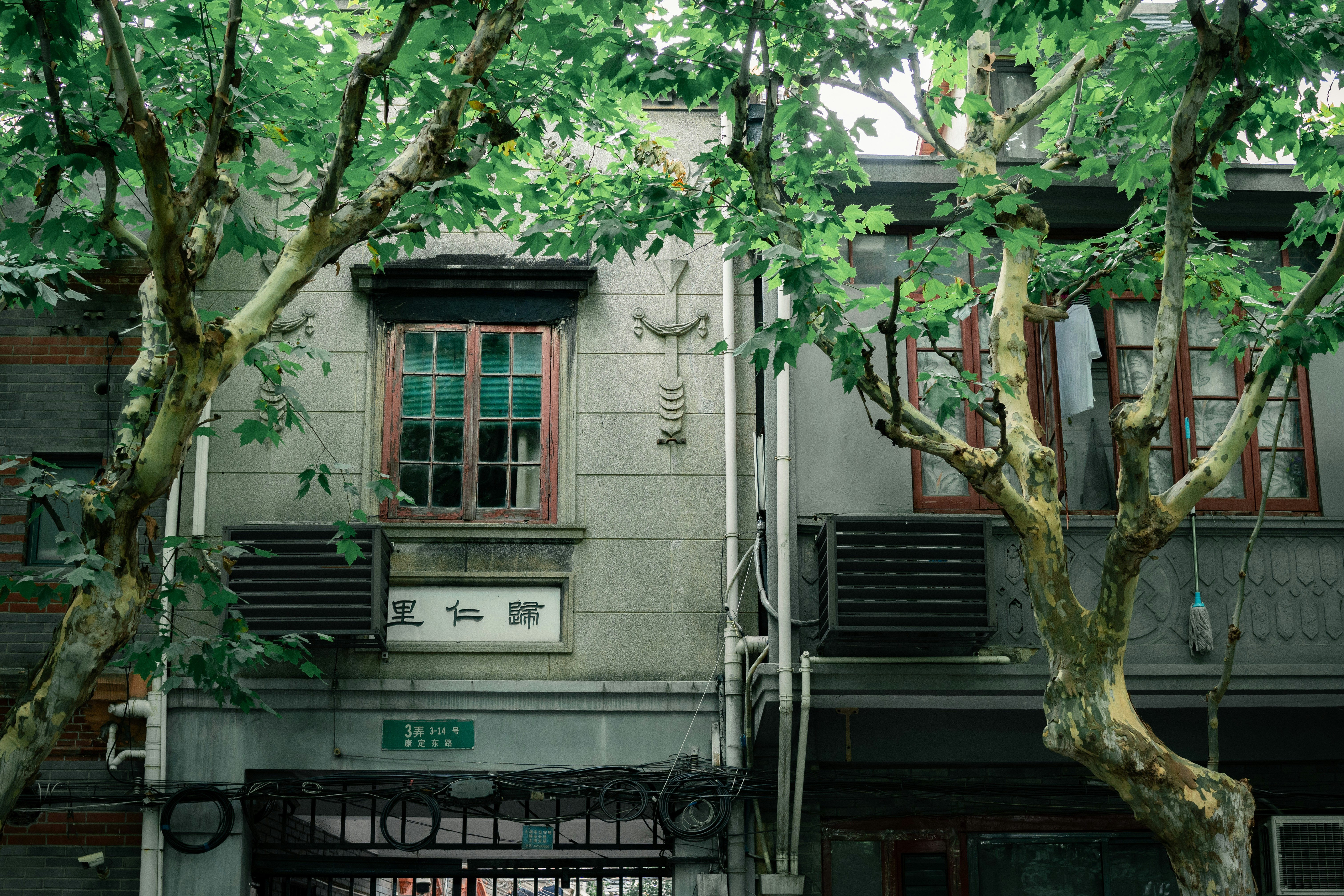 Signboard under a canopy of trees on a weathered urban façade