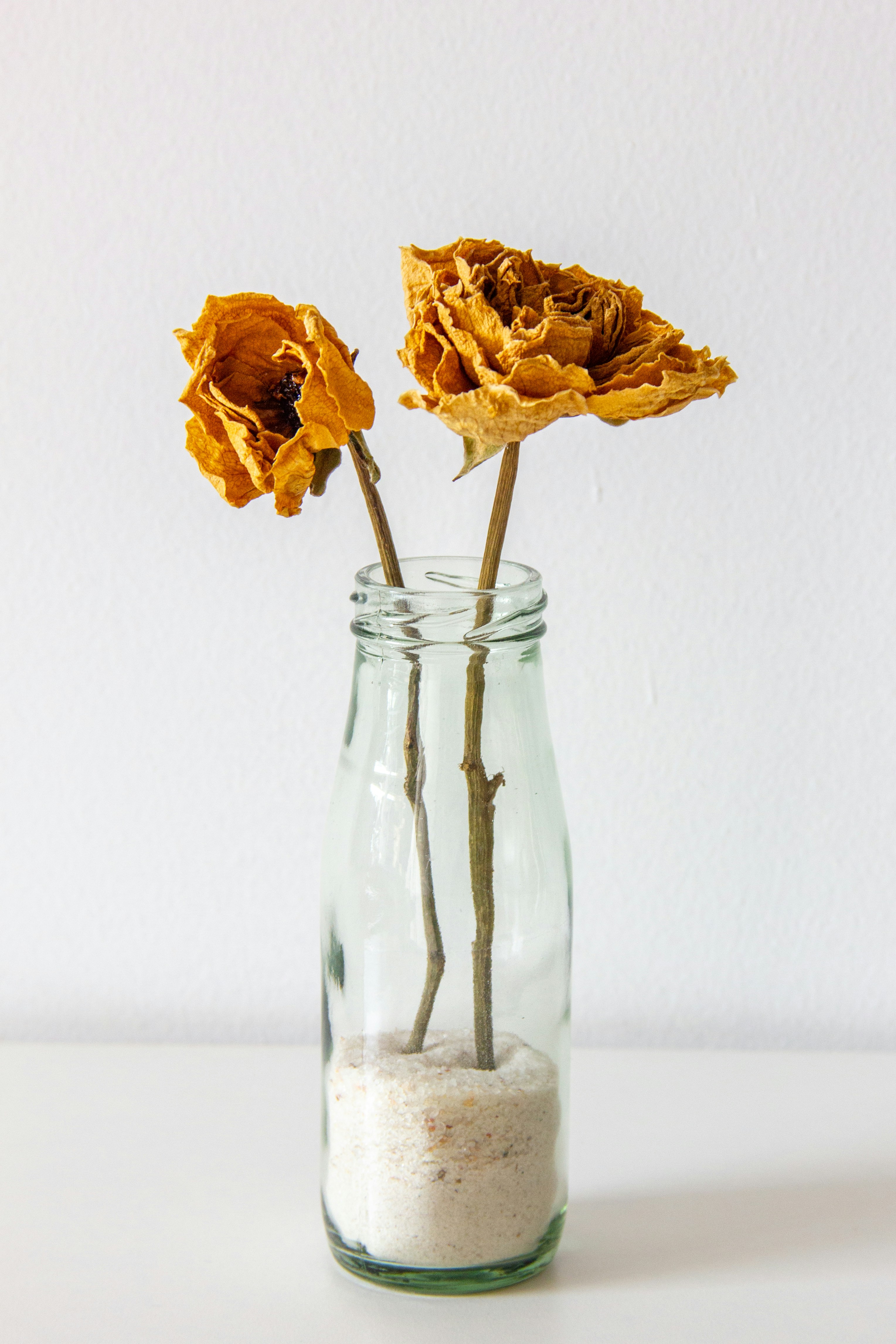 Deserted Bloom in a Glass Bottle