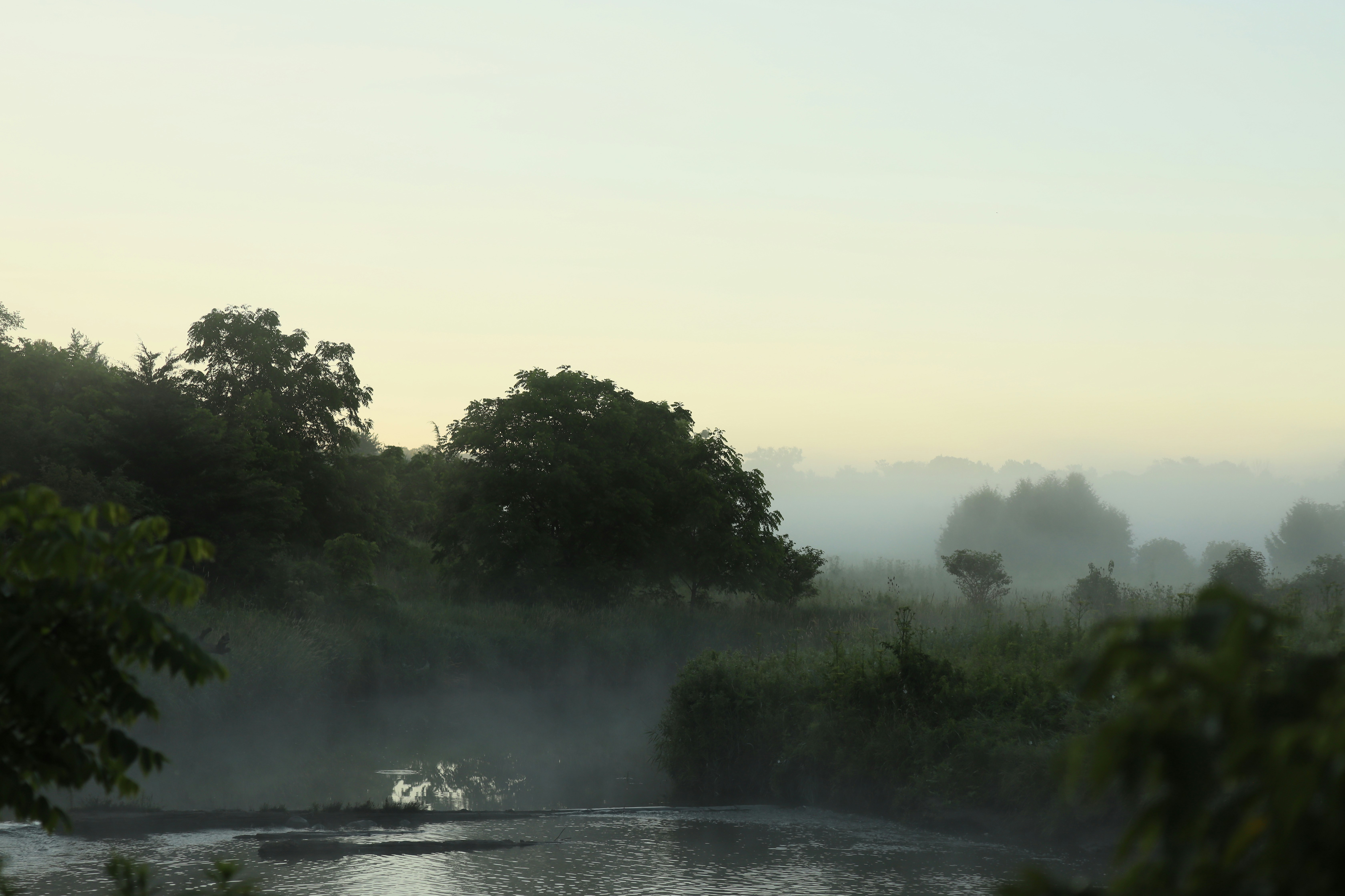 Dawn Veil Over a Misty River