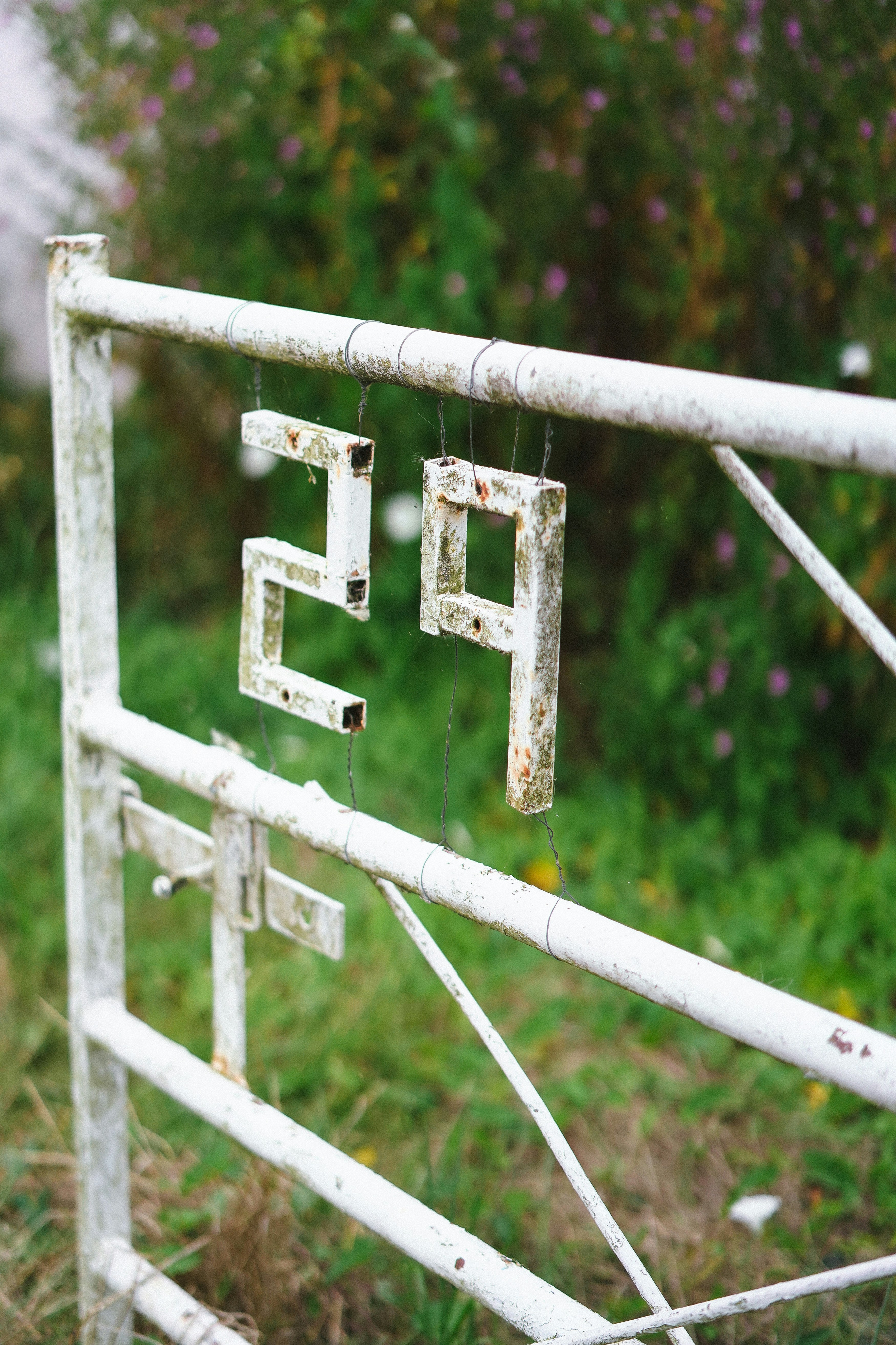 Rusty metal numbers '29' on a white metal gate with a blurred, green background.