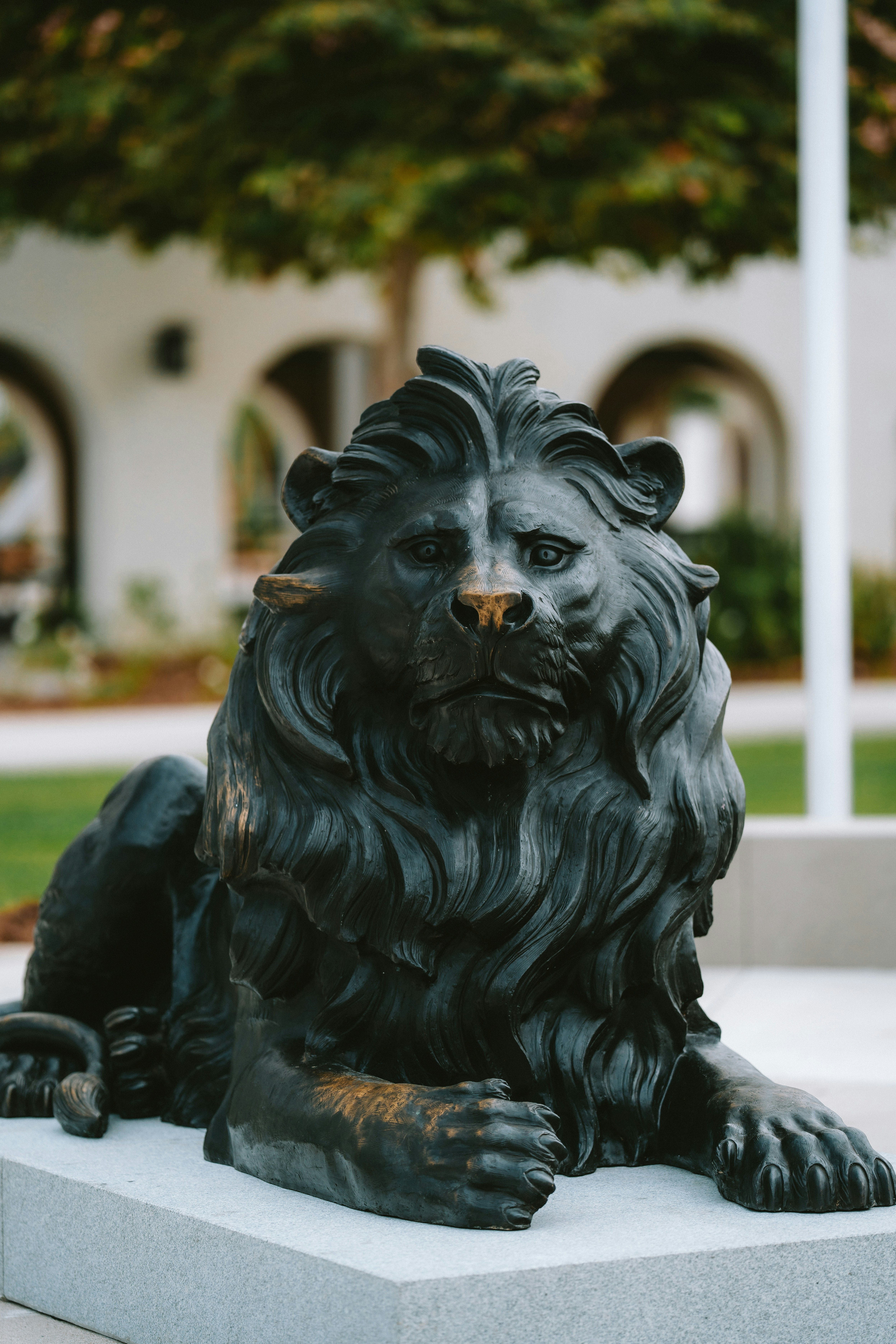 Stone Sentinel: The Lion Amid Arches