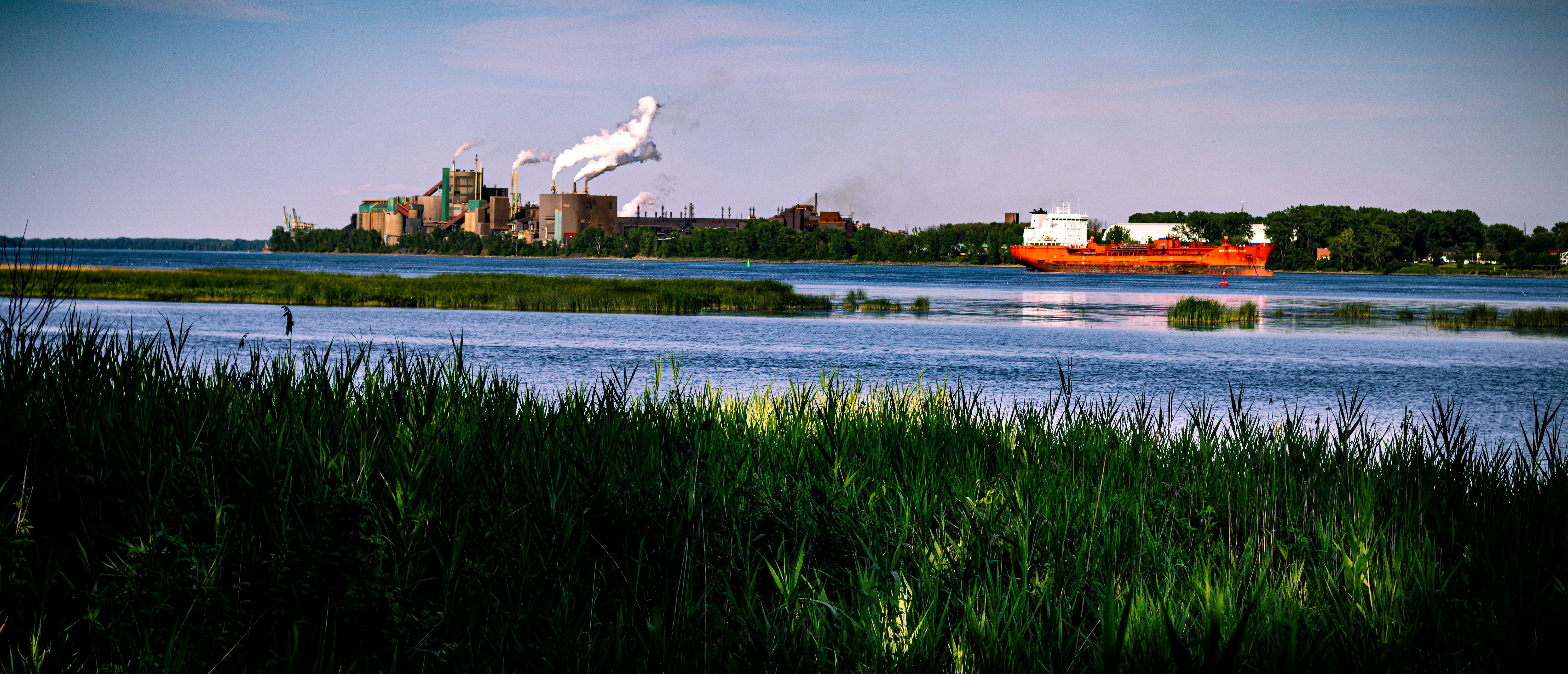 Smokestacks at the Riverfront: A Marshland Calm Beneath Industrial Skies