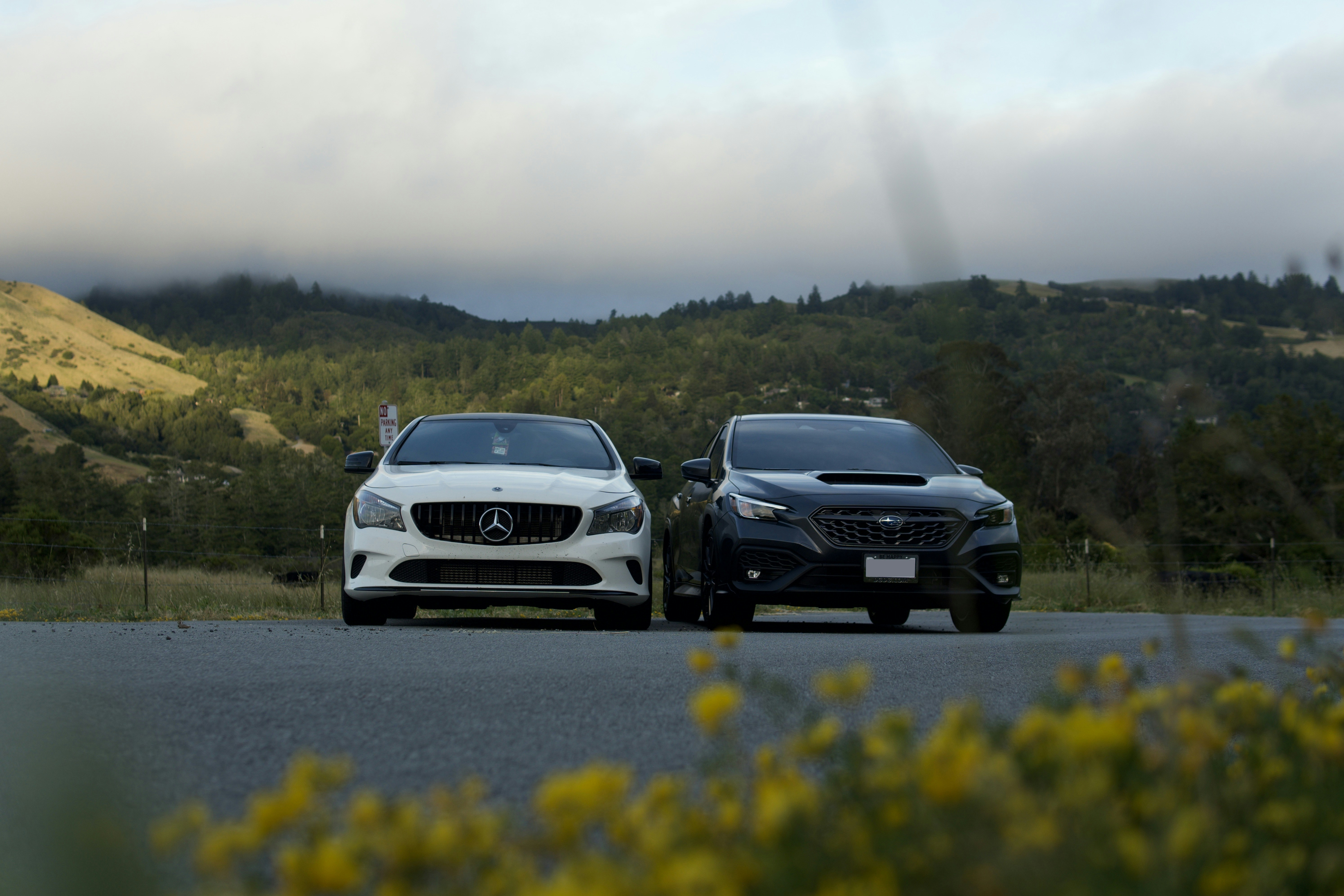 Duet on the Crest: Two Sedans Pause on a Winding Hill Road