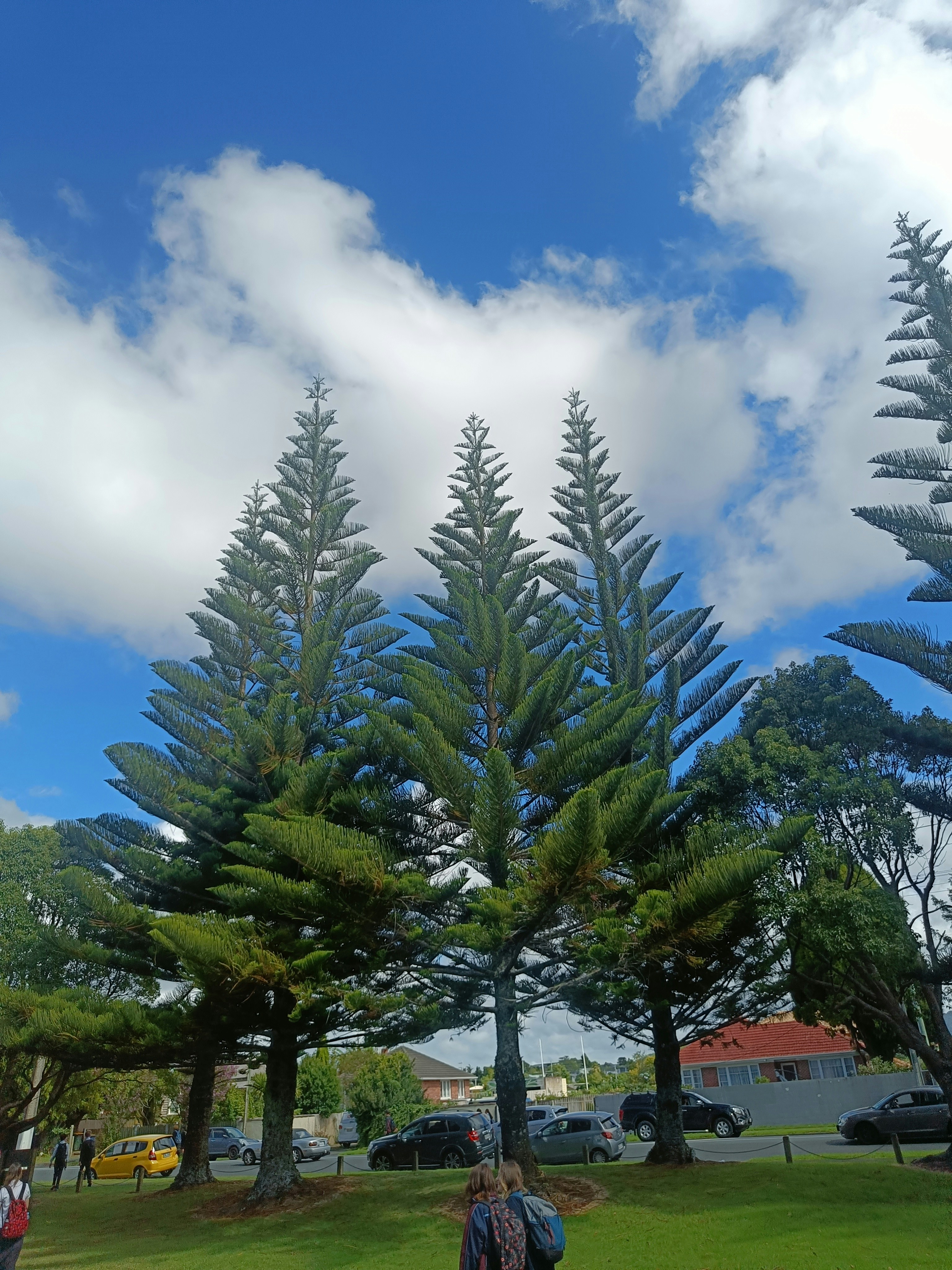 Photo by Jacob R Vamseedhar G with OnePlus Nord 2