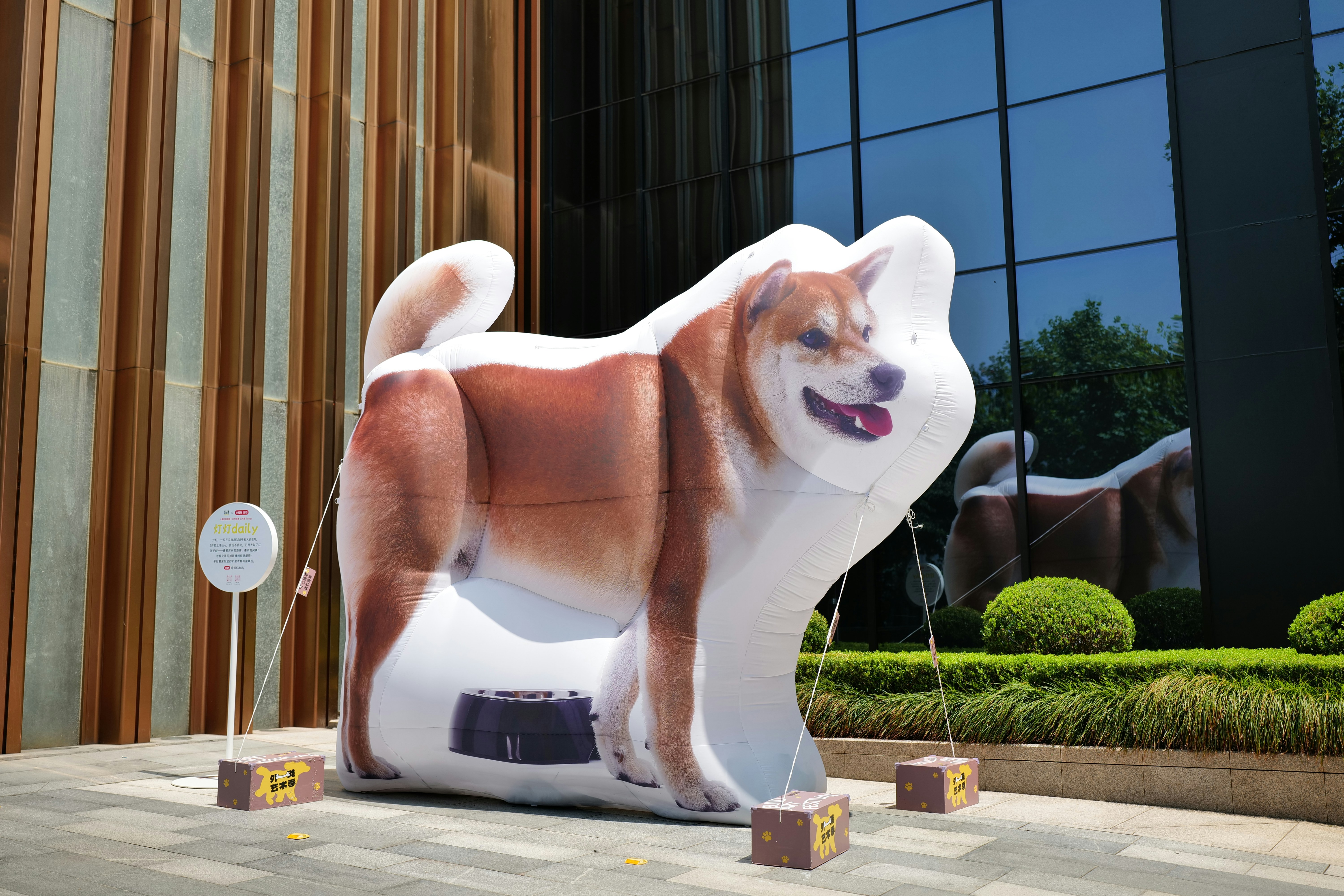 A large inflatable dog statue in front of a building photo – Free ...
