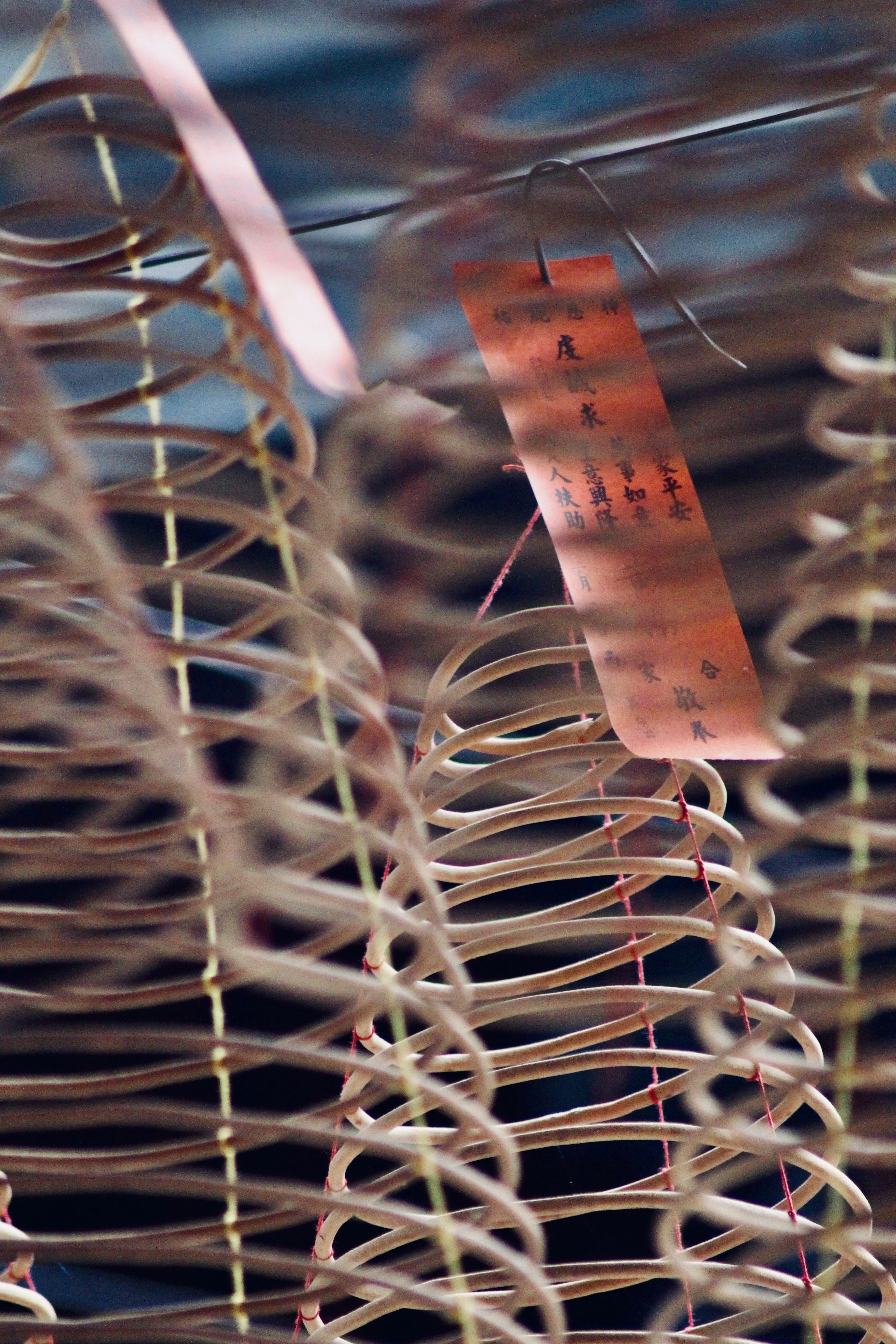Coiled Secrets: A Field of Paper Spirals and Hanging Tags