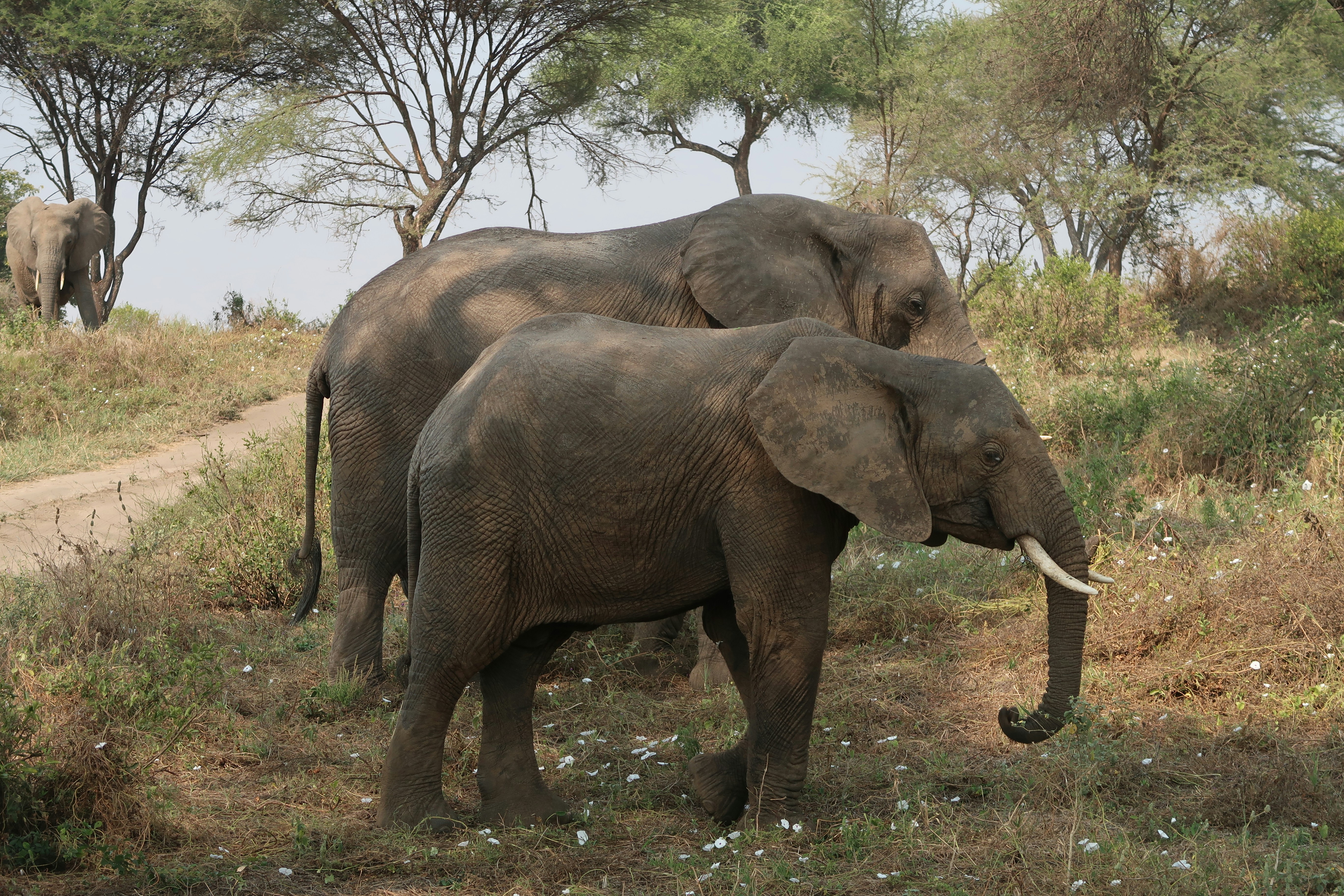 Photo by Florian Müller with Canon PowerShot G7 X Mark II