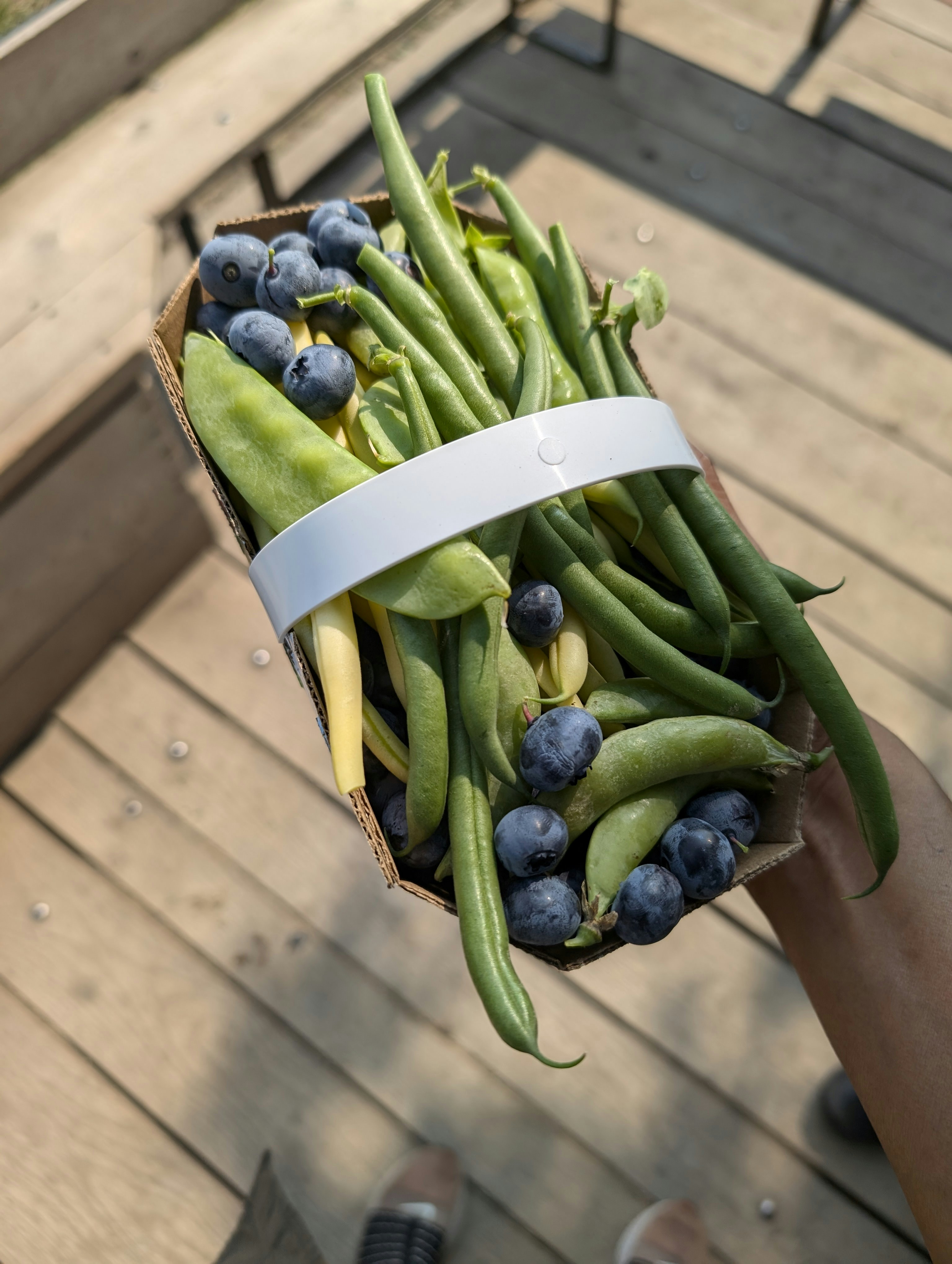 A person holding a box of green beans and blueberries photo – Free Peas ...