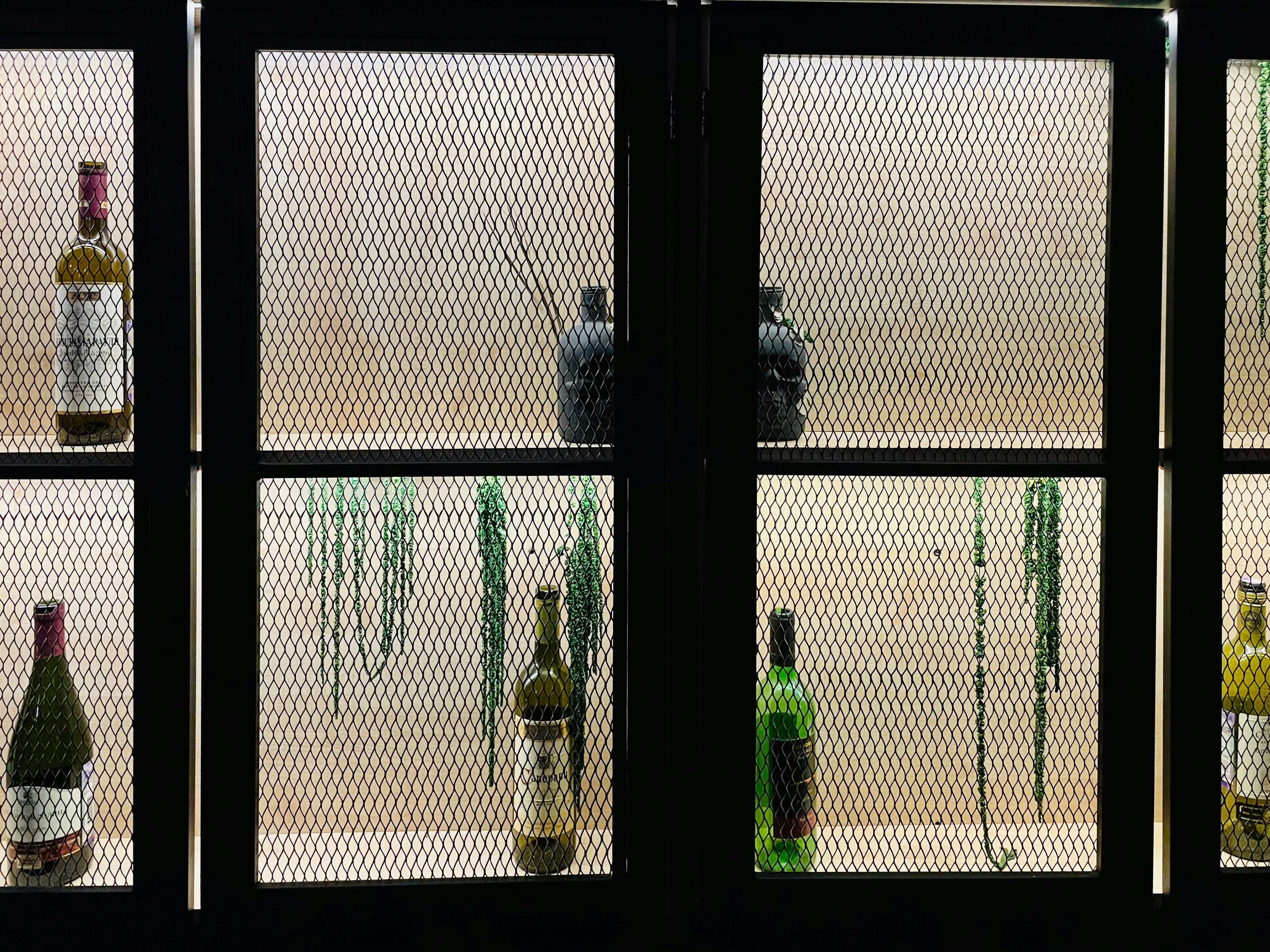 Three-Column Bottles Behind Diamond Mesh: A Quiet Cabinet Portrait
