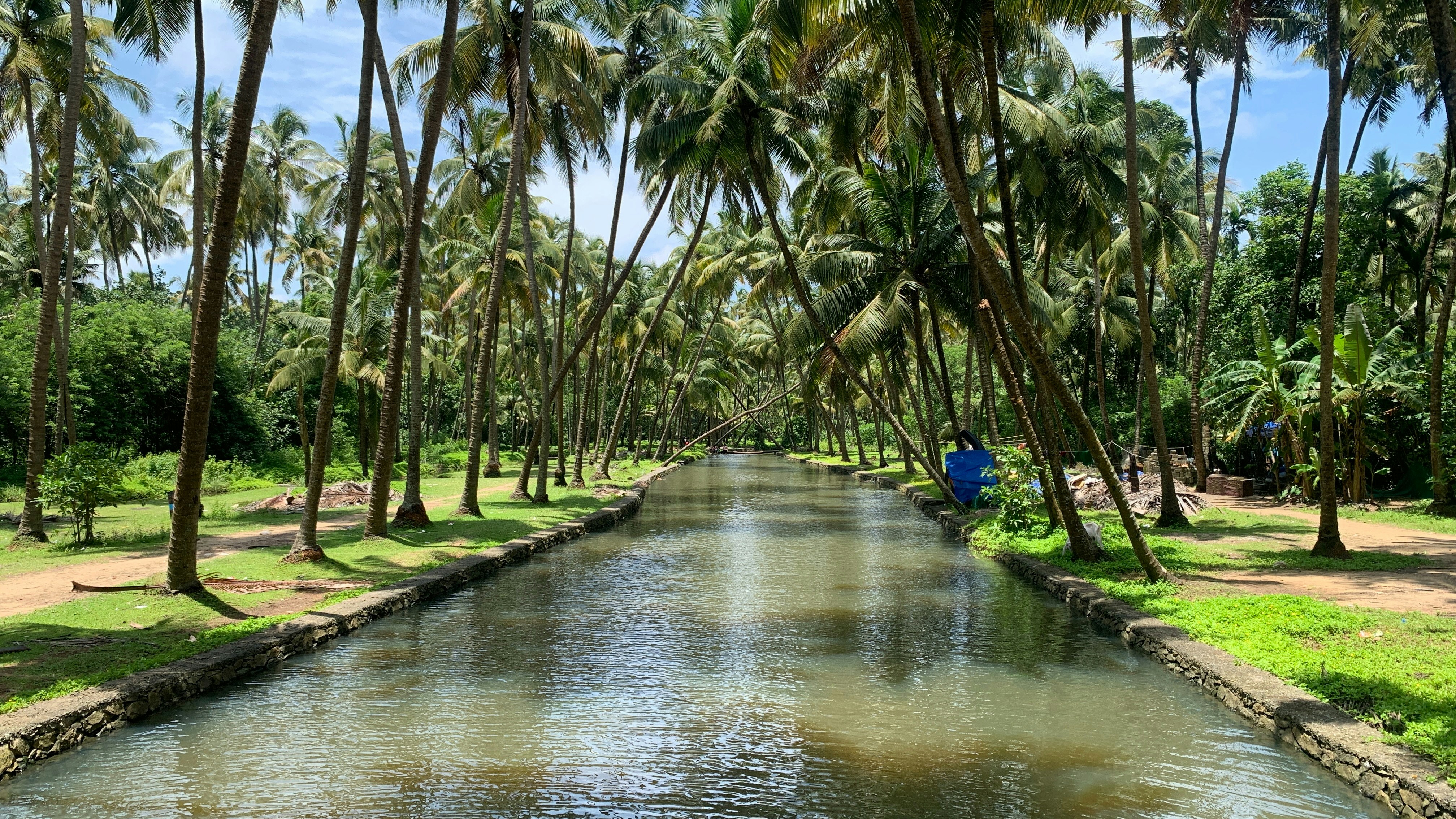 Un homme descendant à vélo une rivière entourée de palmiers photo ...